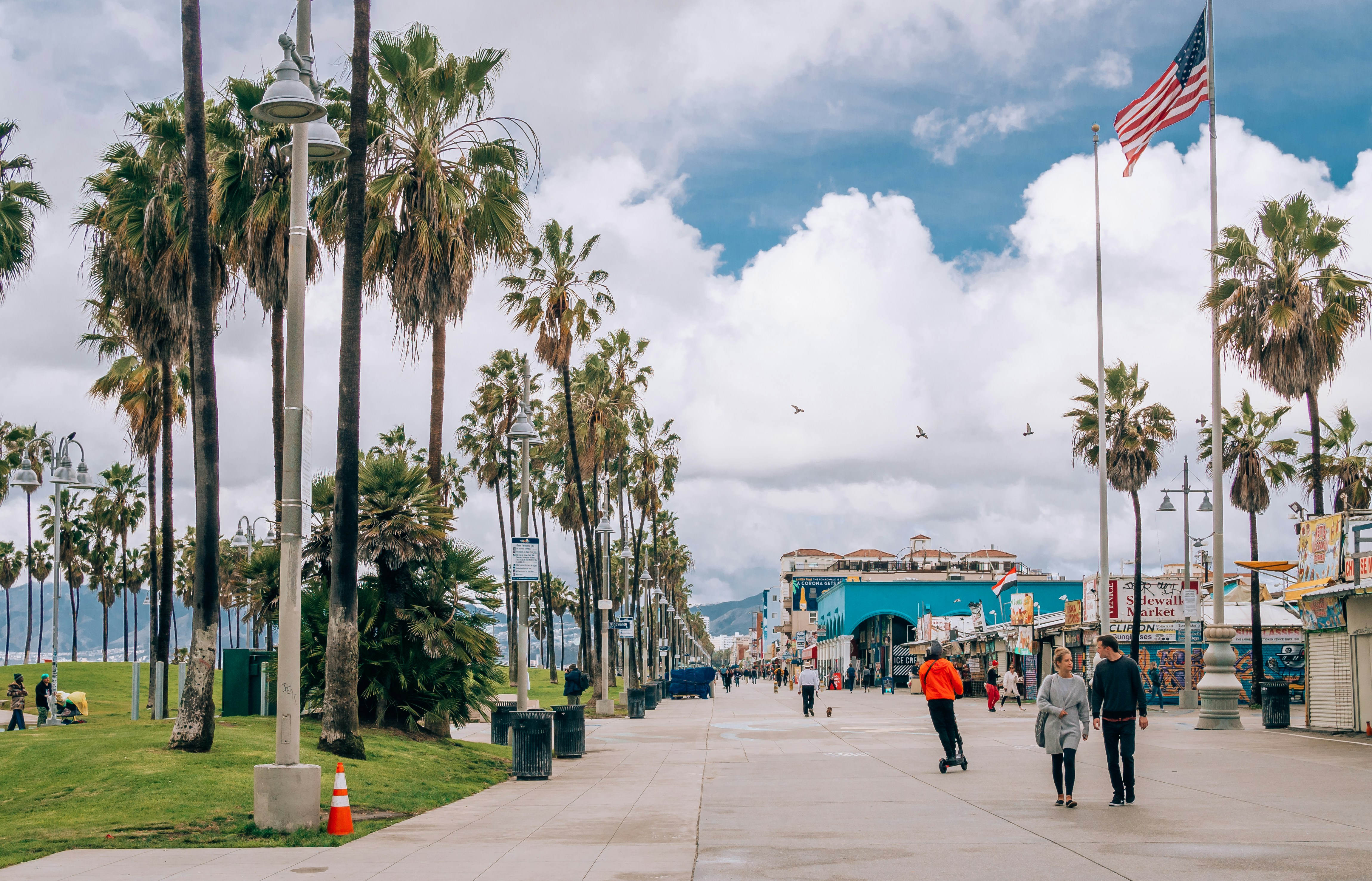 Palm-Tree Promenade by the Oceanfront Boardwalk