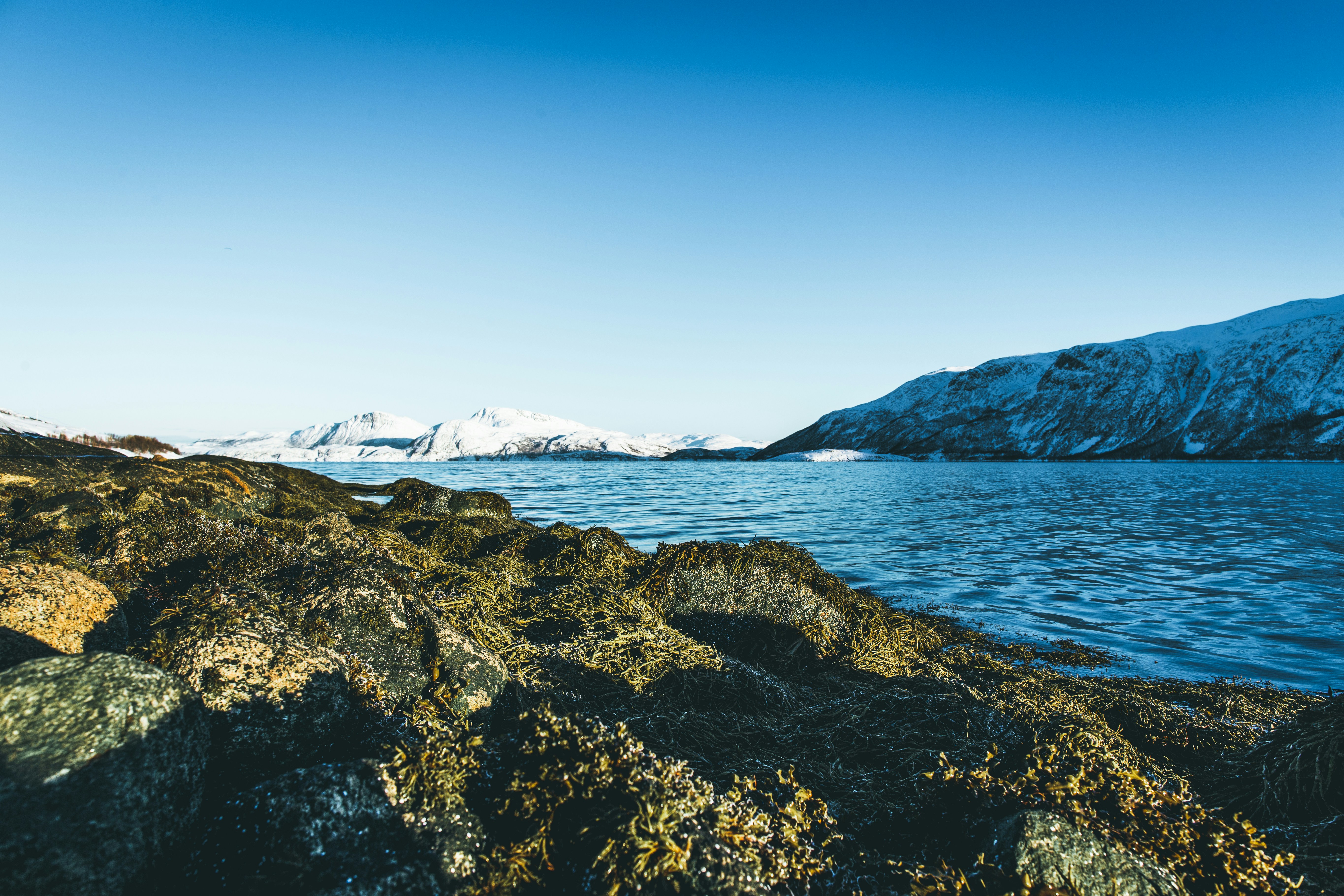 Ice Land Pictures | Download Free Images on Unsplash