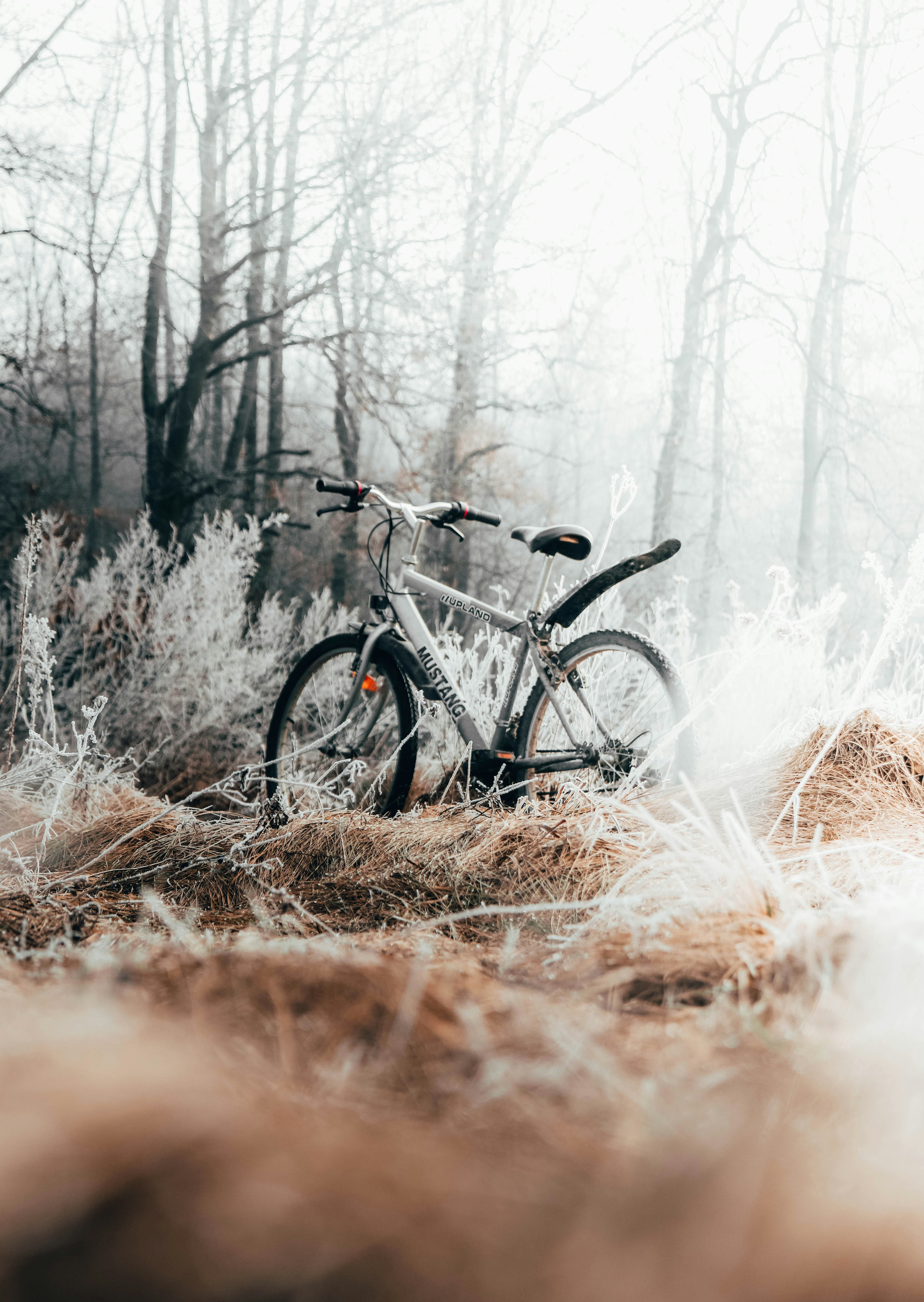 Gray bicycle on brown grass during daytime photo – Free Grey Image on ...