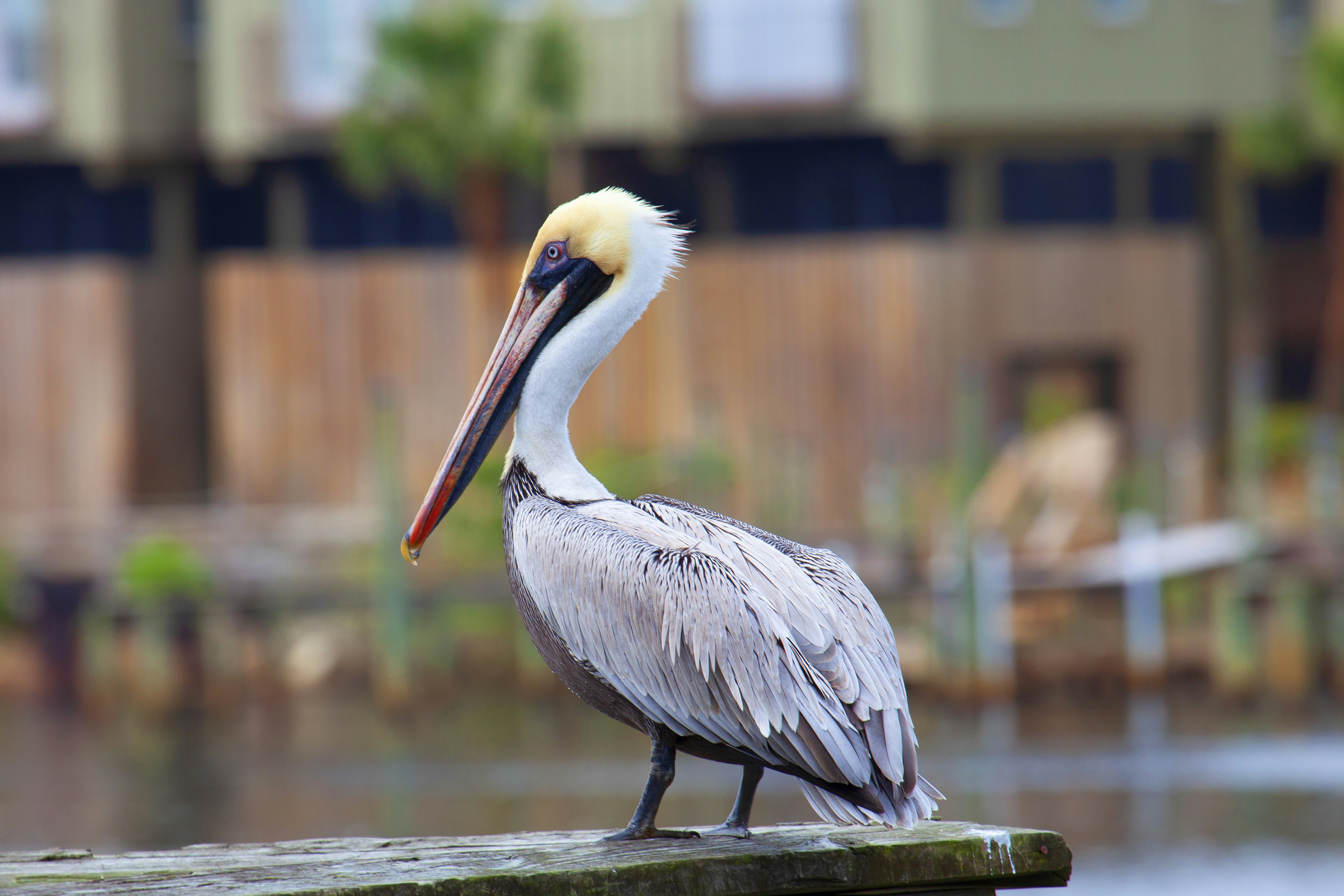 Soul devOcean (@souldevocean) | Comunidad de fotos de Unsplash