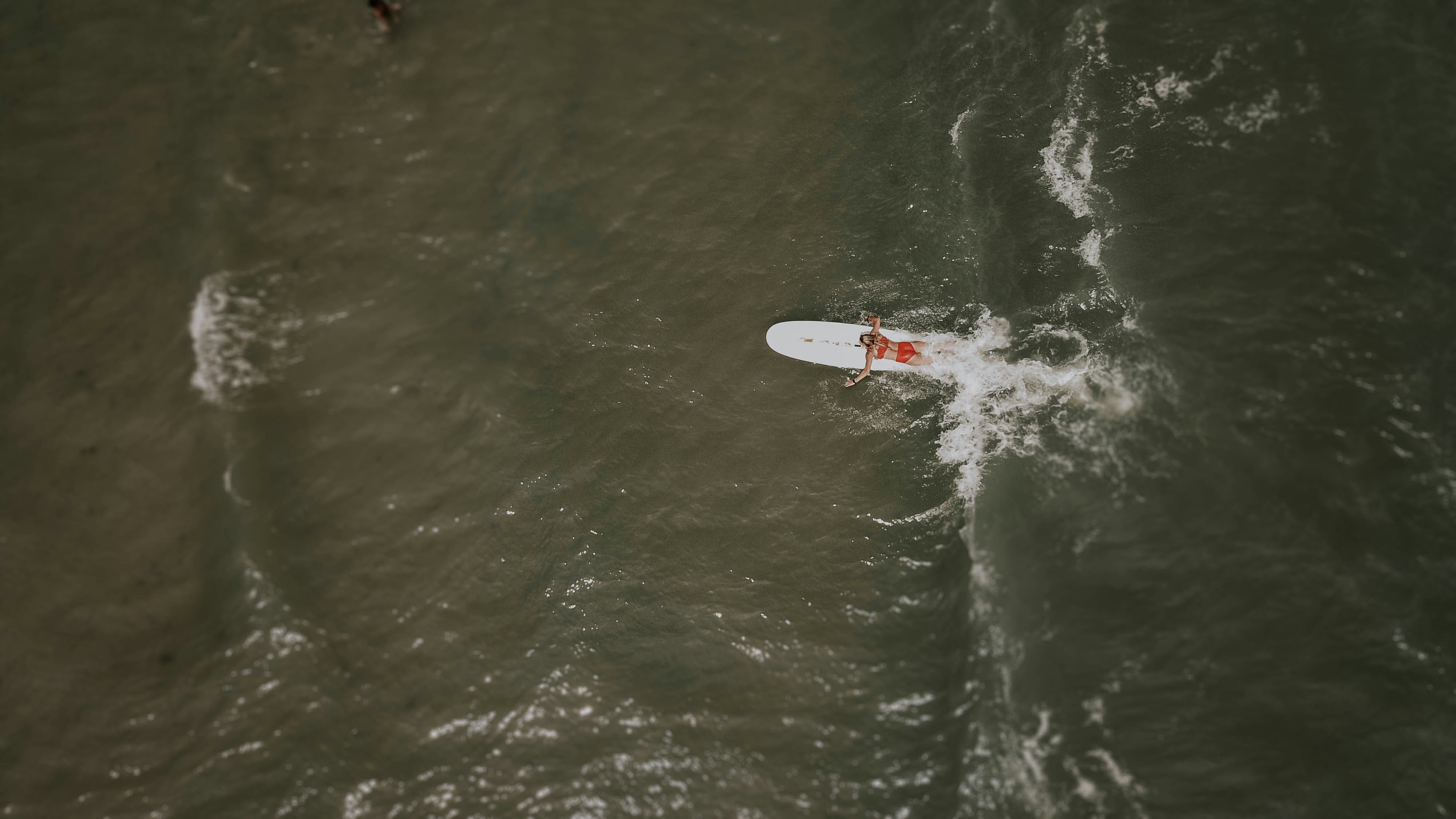 Surfer paddling through choppy waves near the shoreline.