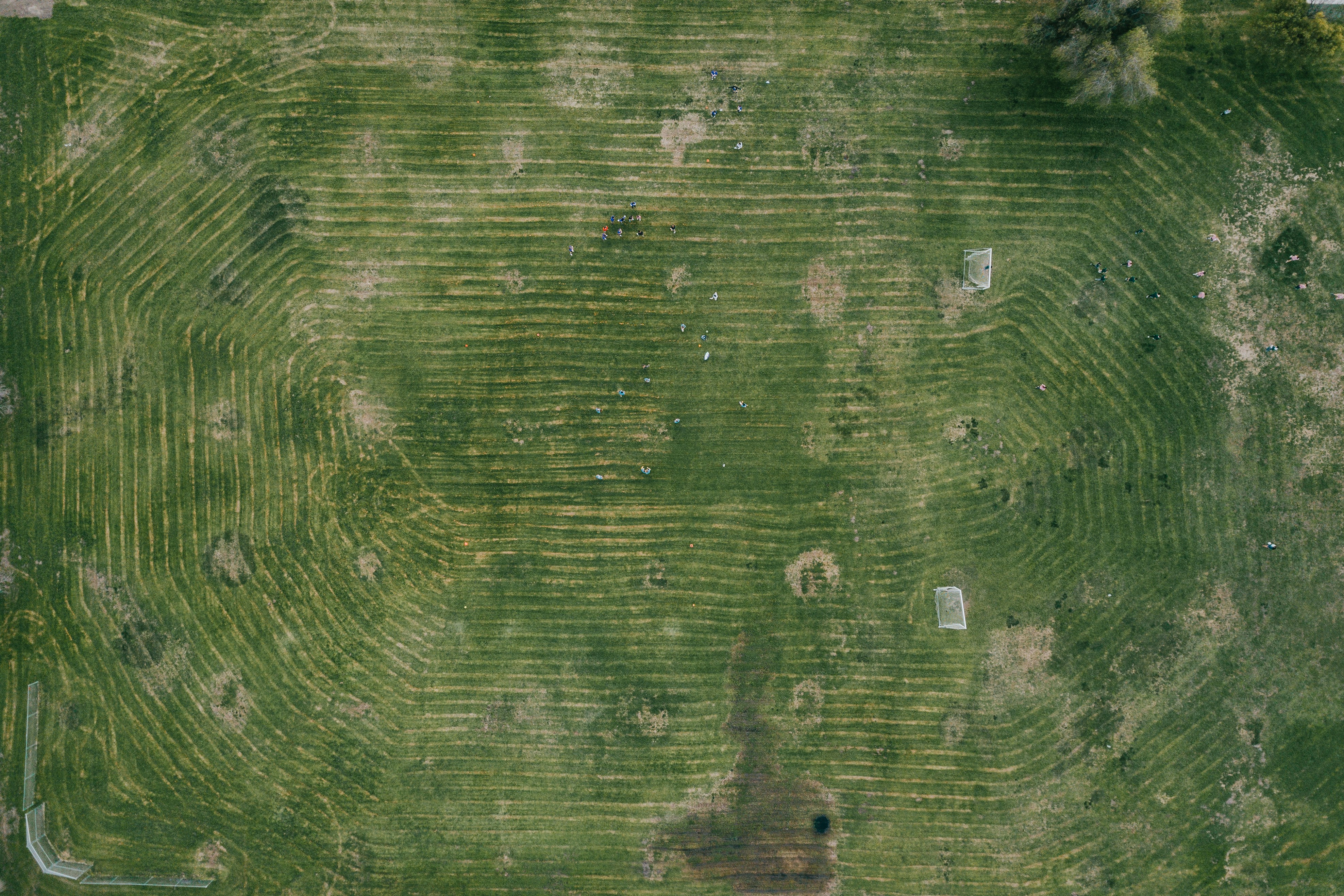 Aerial Orchard of Curved Terraces