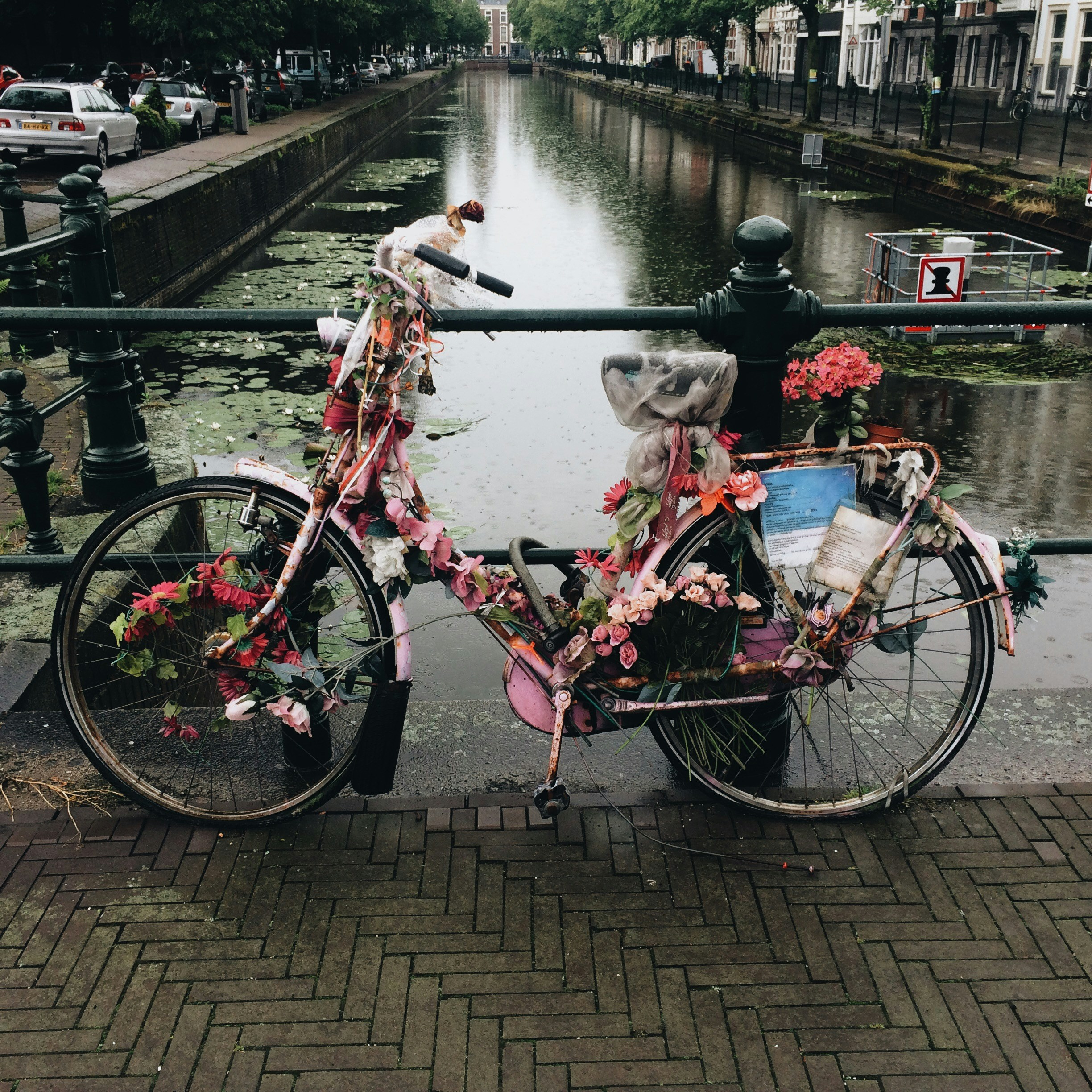 Pastel Floral Bicycle Anchored by a City Canal