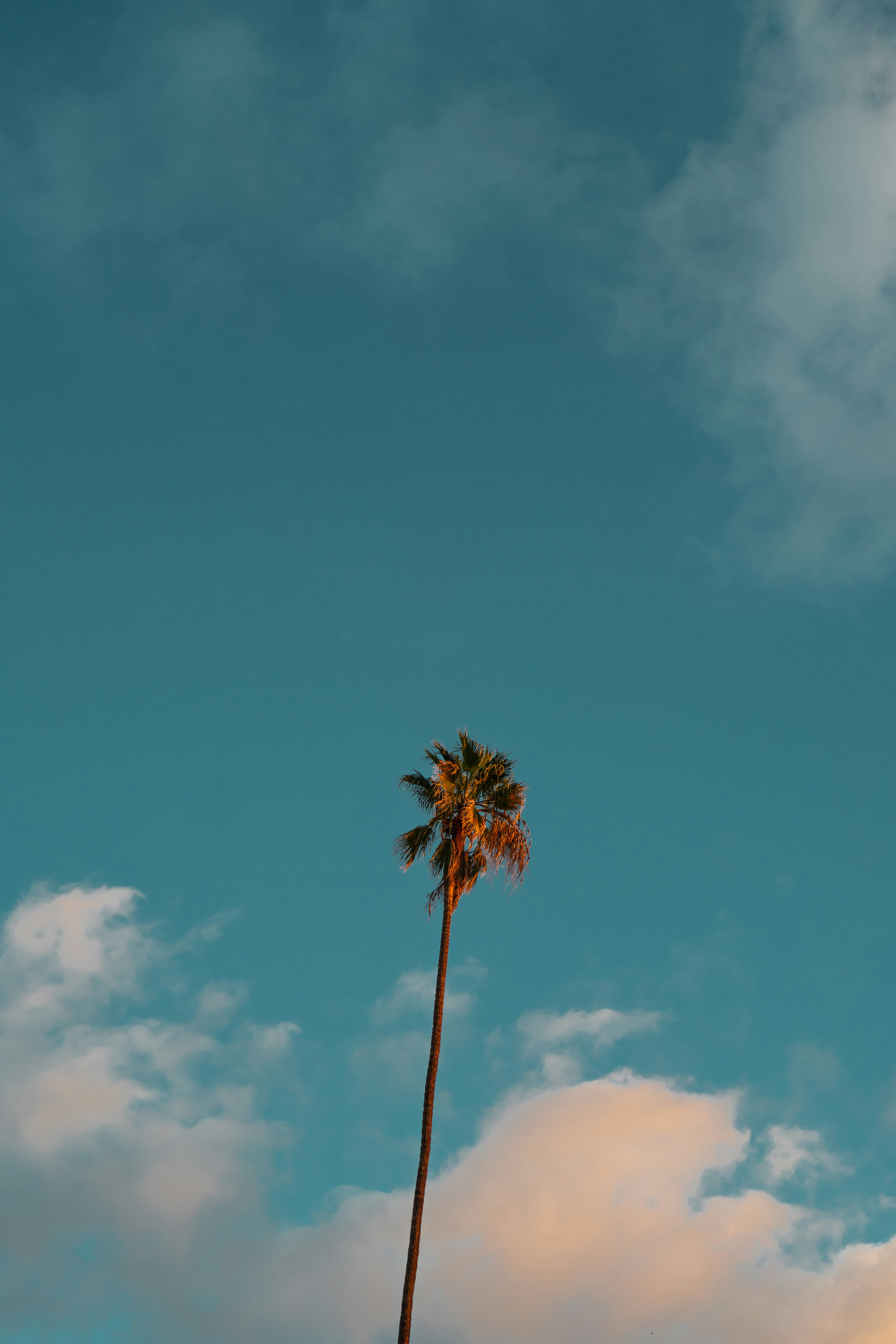 200+ Simple Pictures | Download Free Images on Unsplash