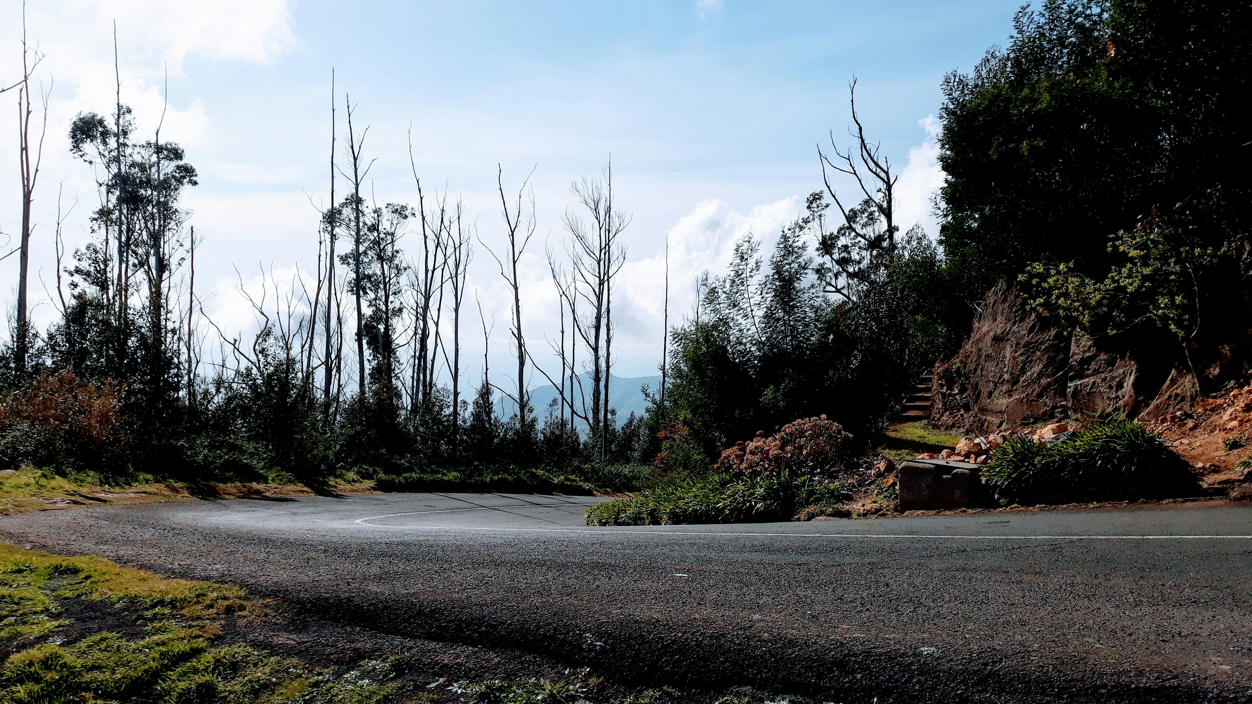 Winding asphalt road curves through a desolate landscape with skeletal trees to the left and a rocky hillside to the right under a bright, partly cloudy sky.