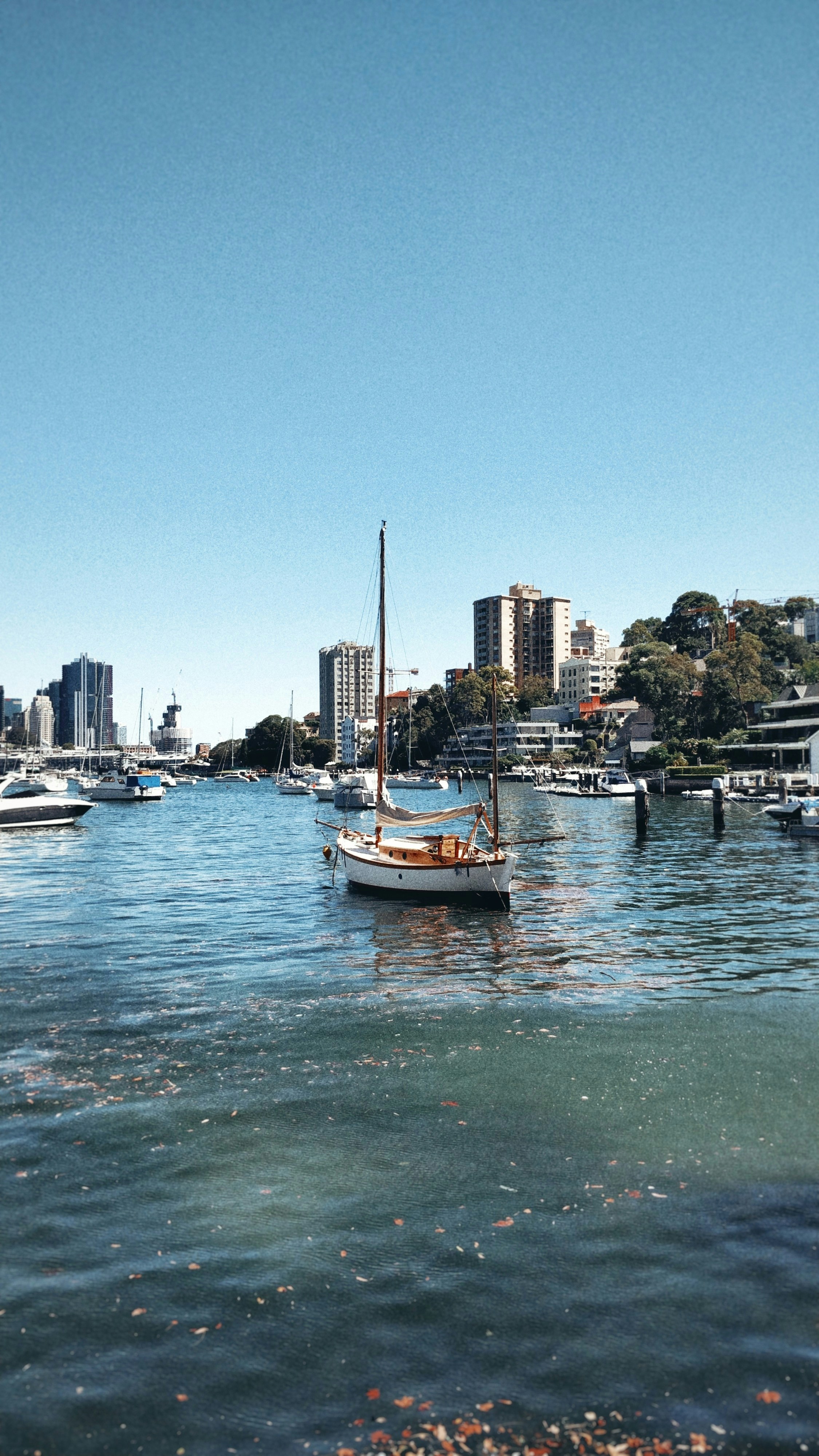 Tinmay Yu (@heytinmay) | Komunitas Foto Unsplash