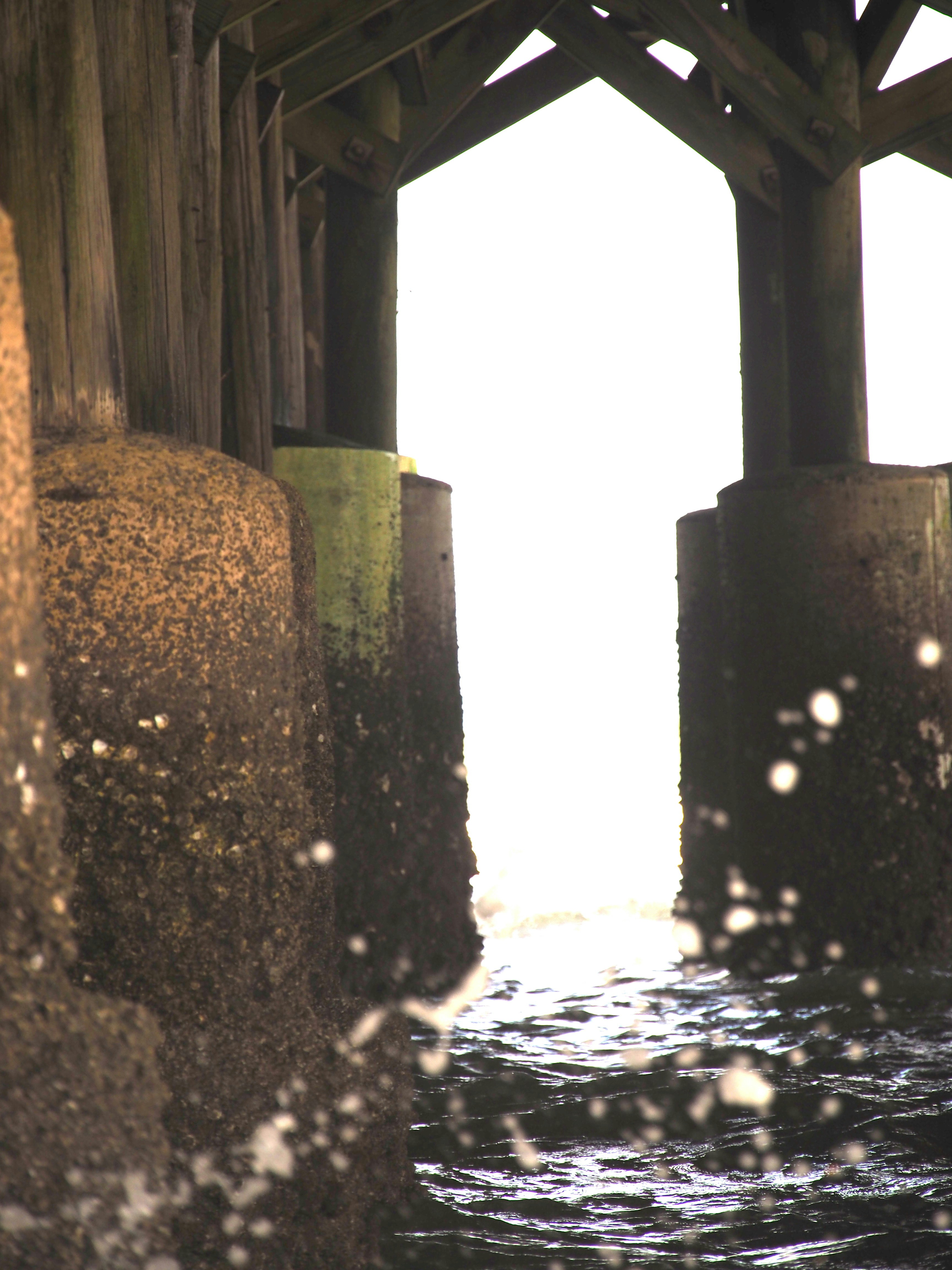 The sun hit the dock pillars right as a wave crashed up me. When I looked at the photo after I got home, I felt lucky to have captured this moment.