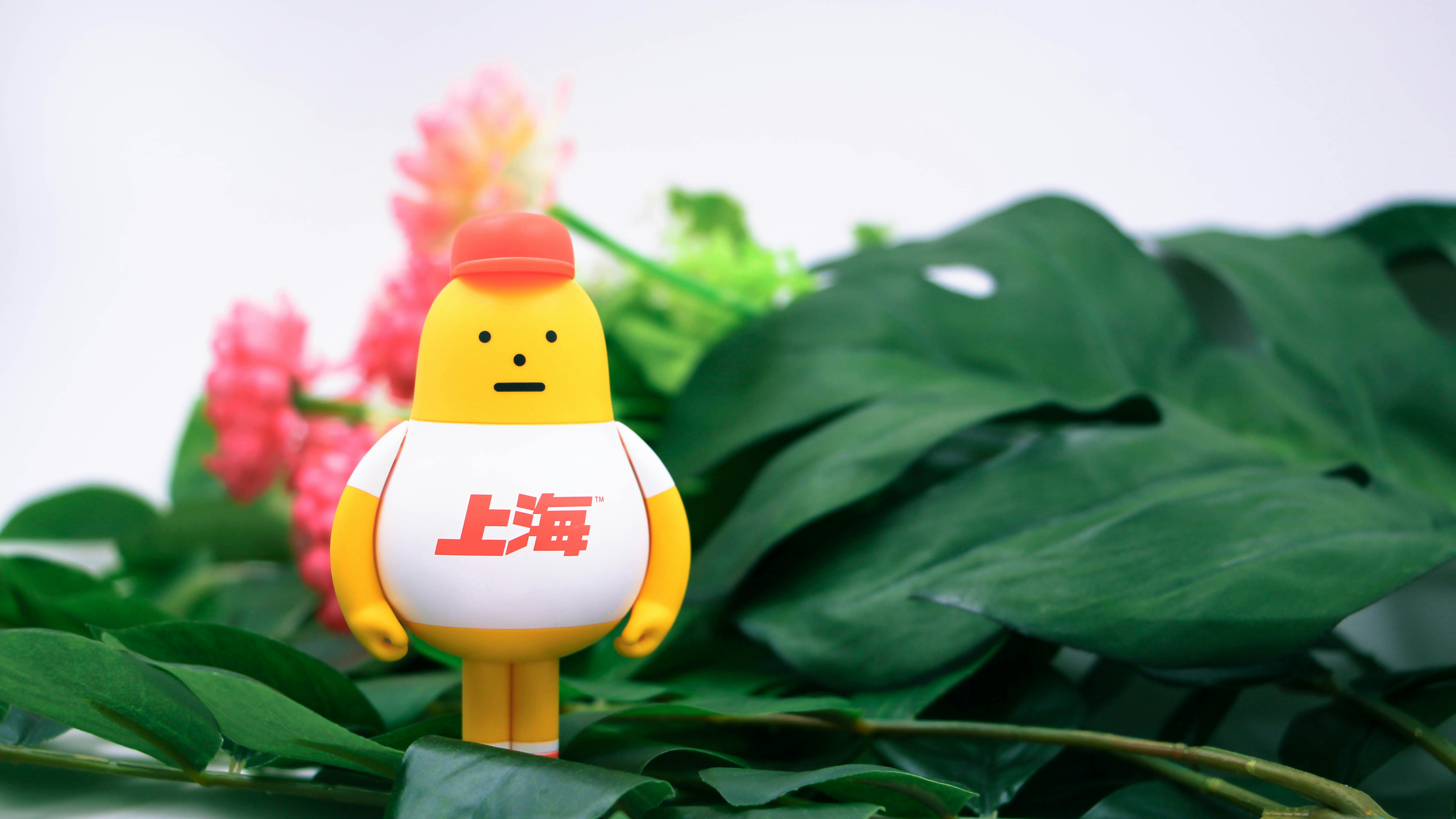 Toy Ambassador in a Verdant Studio