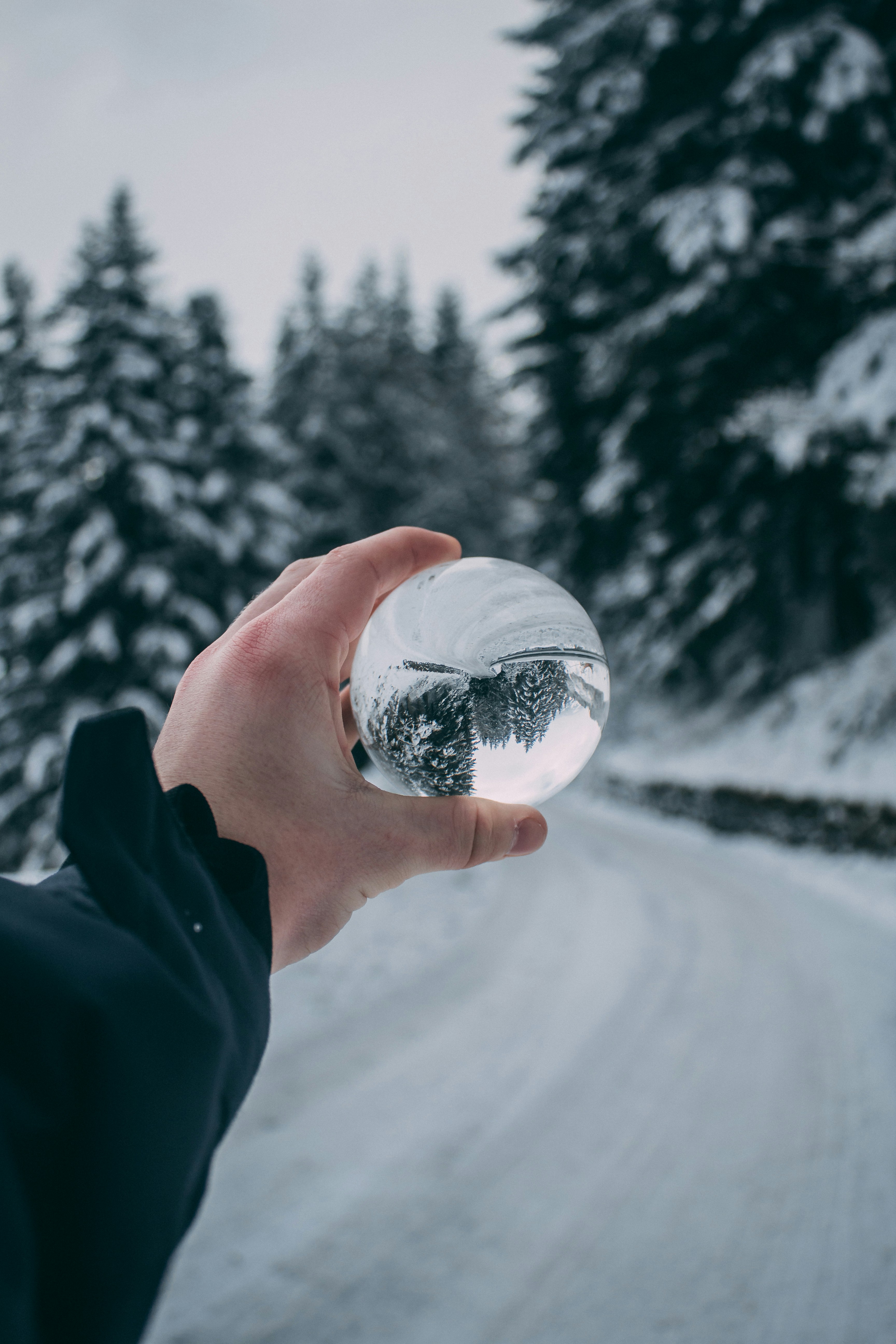 A crystal ball held in a hand reflects a snow-covered landscape, surrounded by evergreen trees along a winding road.