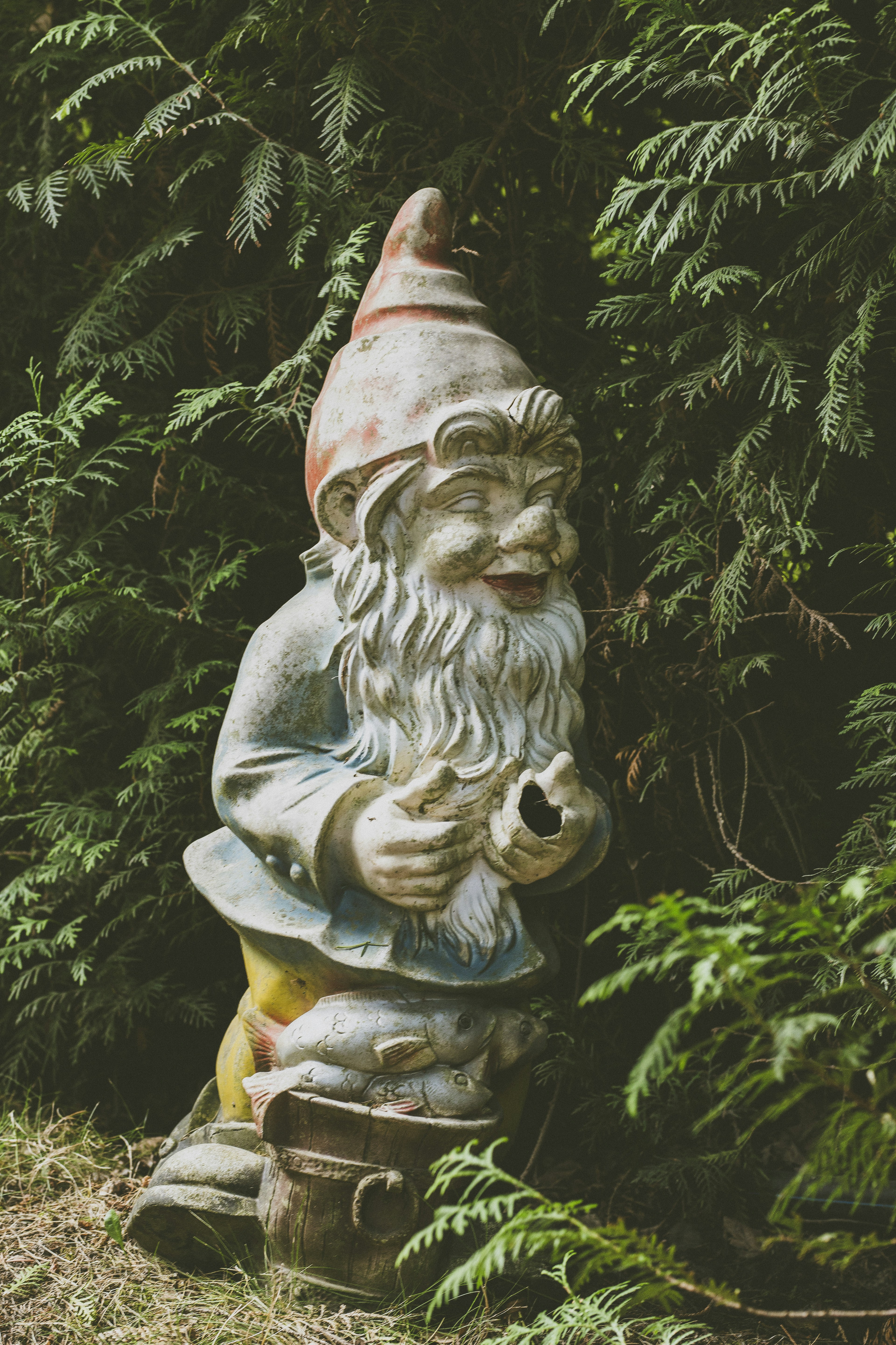 500+ Gnome Pictures [HD] | Download Free Images on Unsplash