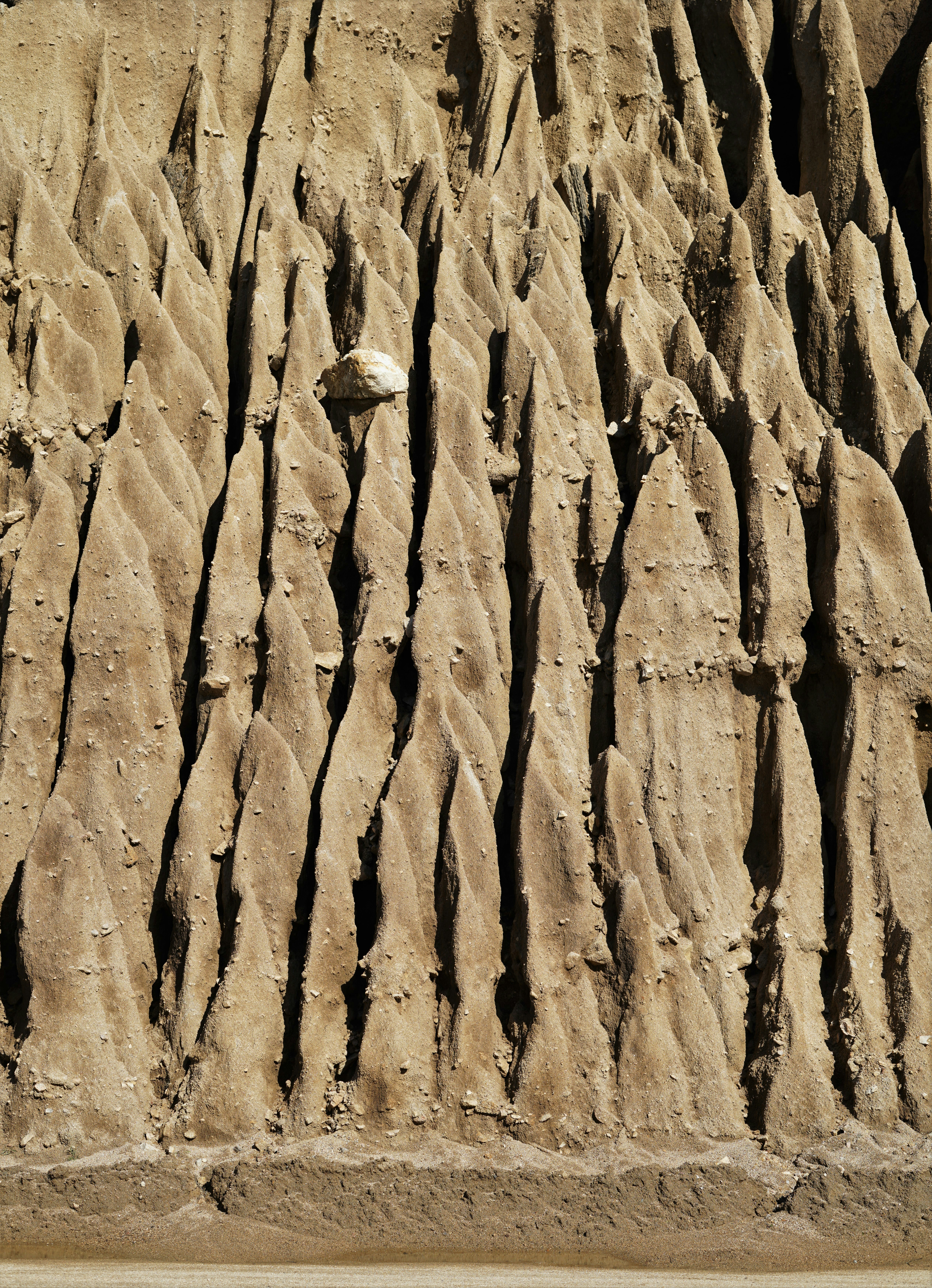 Définition de cal | Dictionnaire français