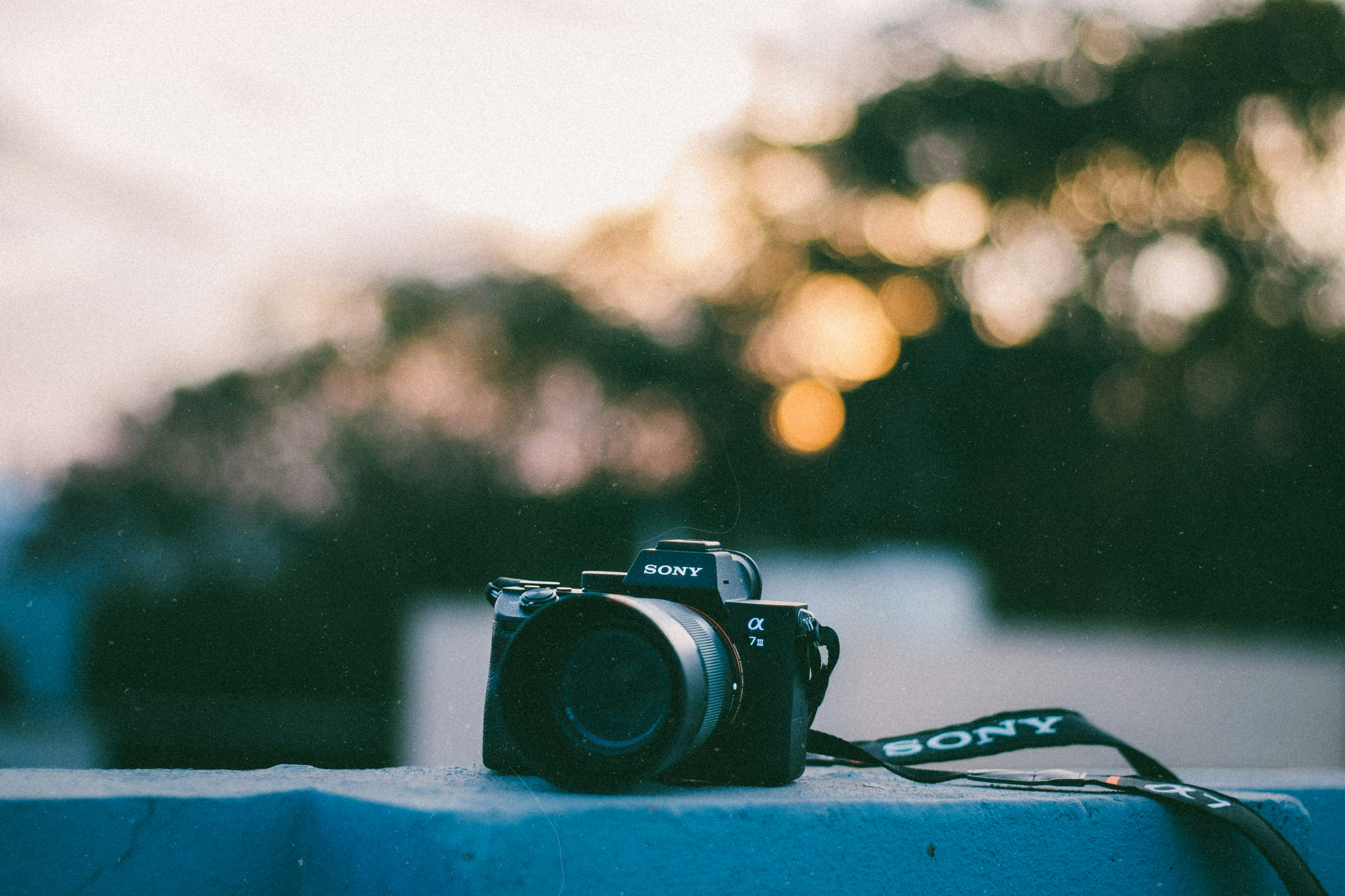 Définition de grenu | Dictionnaire français | La langue française