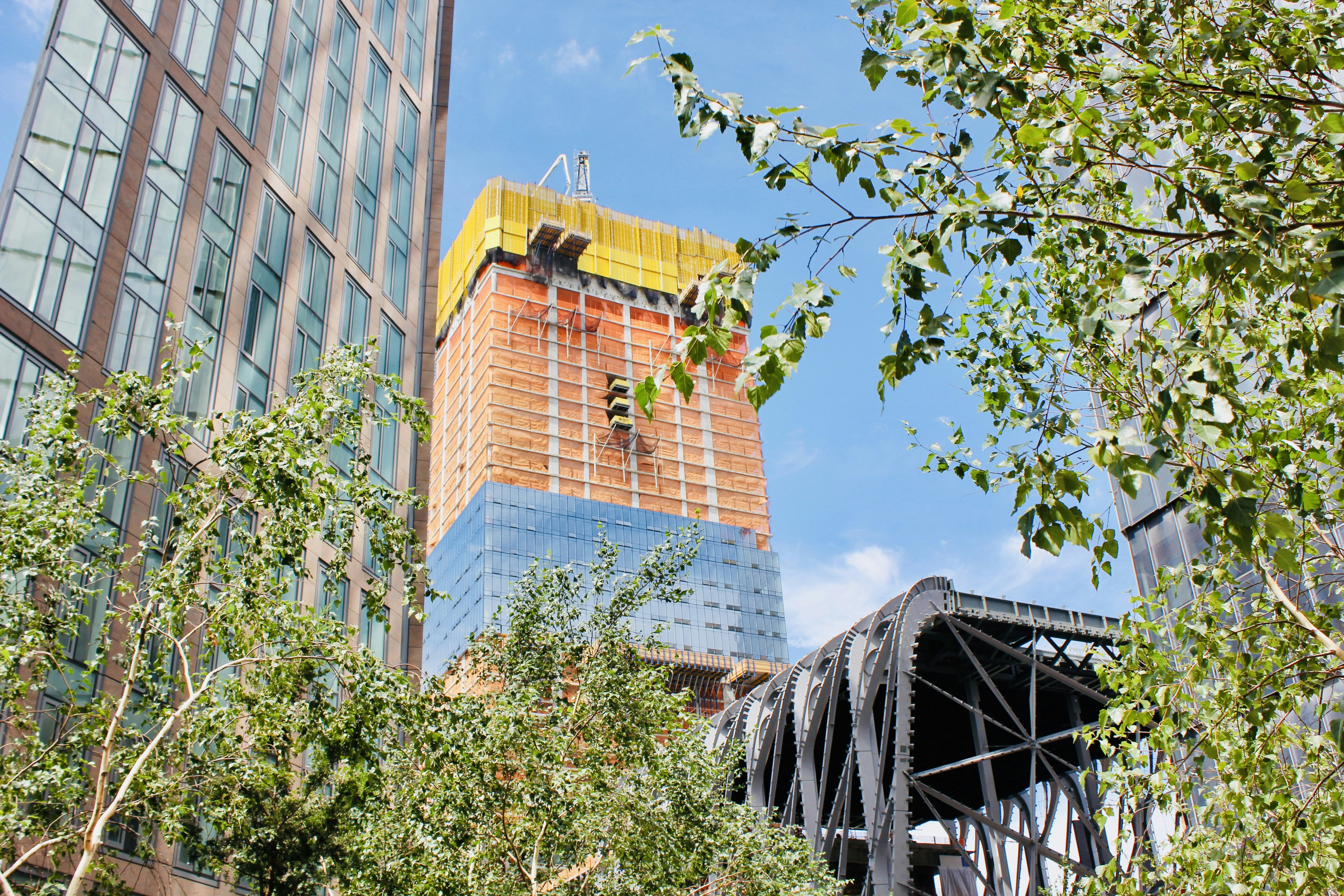 Colorful high-rise buildings framed by lush greenery under a clear blue sky.
