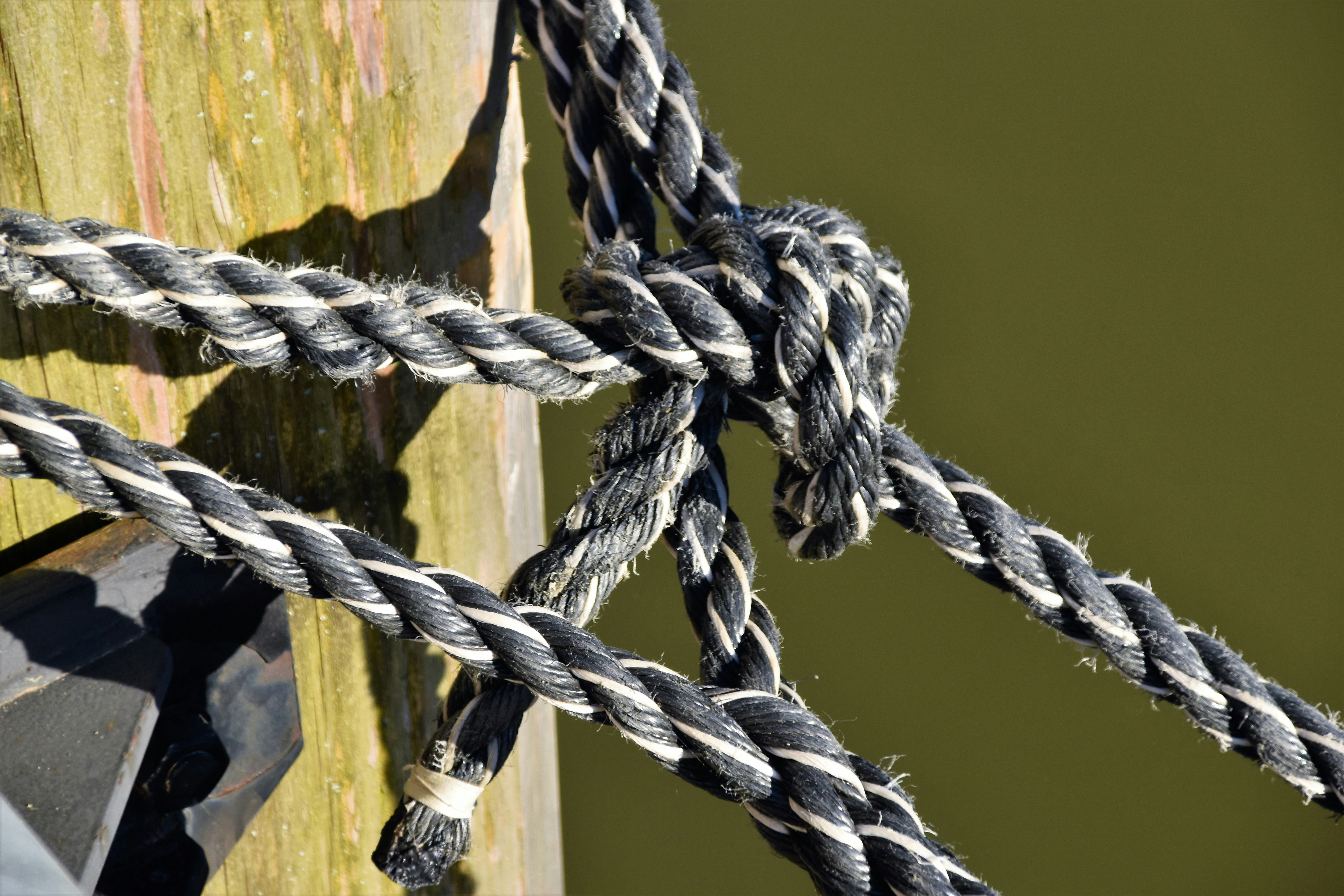 Black and white rope tied in a knot against a wooden post with a shadow cast on a green background.