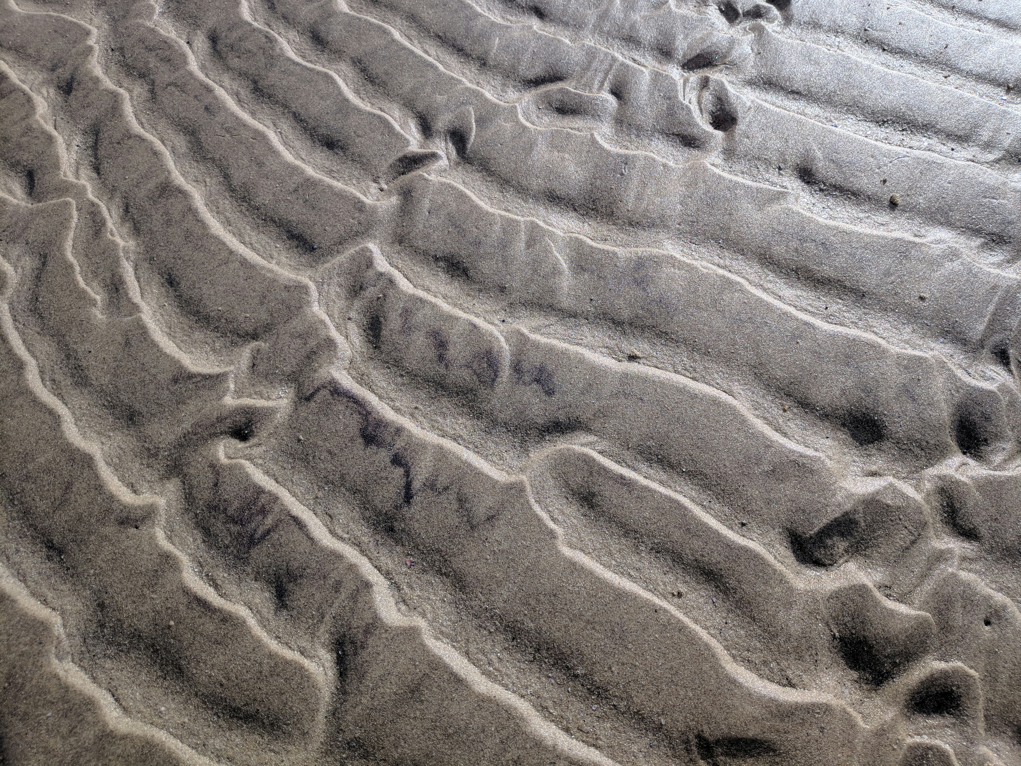 Sample photo from Xiaomi Poco F1