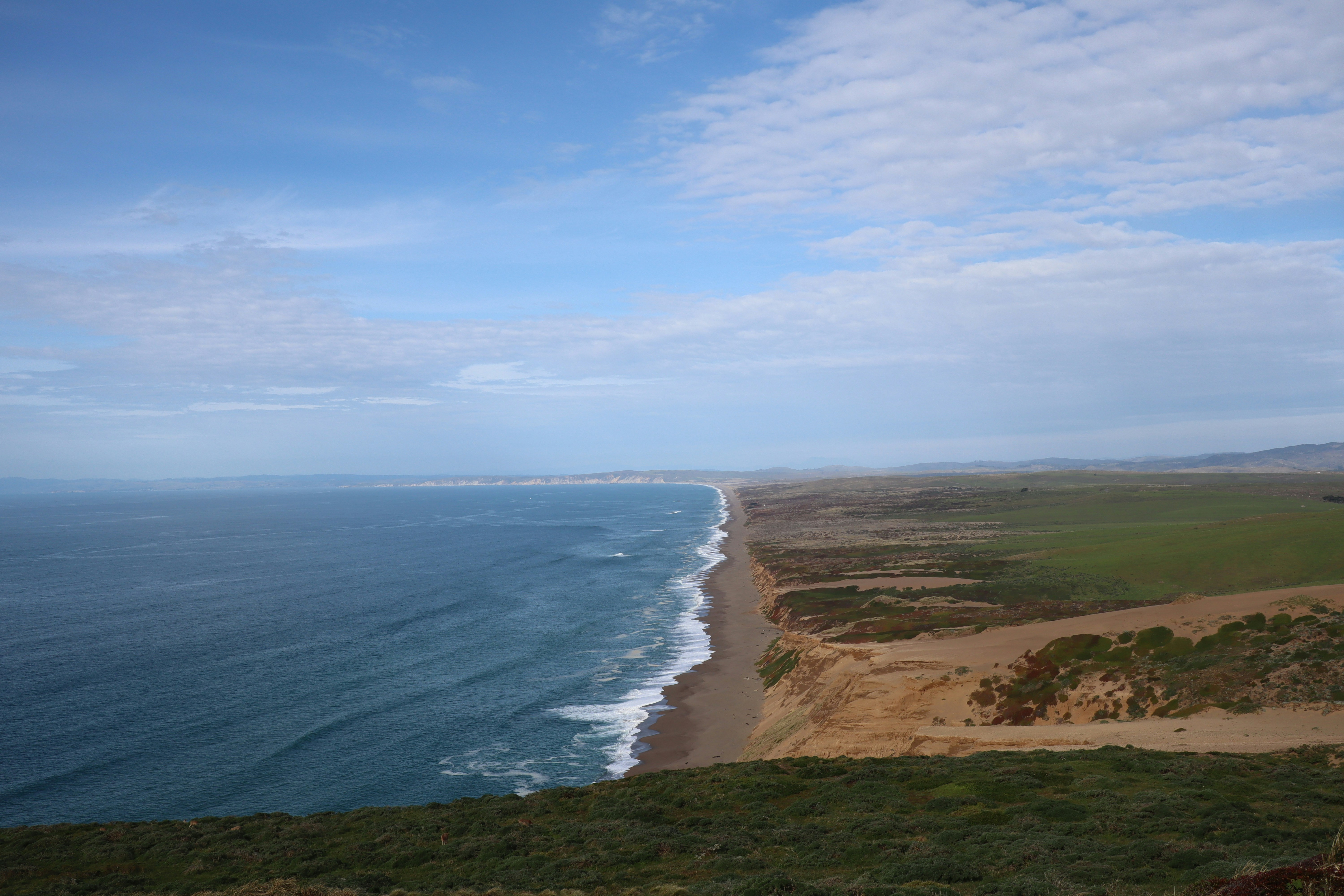 Blue calm see with breaking waves on brown and green beach photo – Free ...