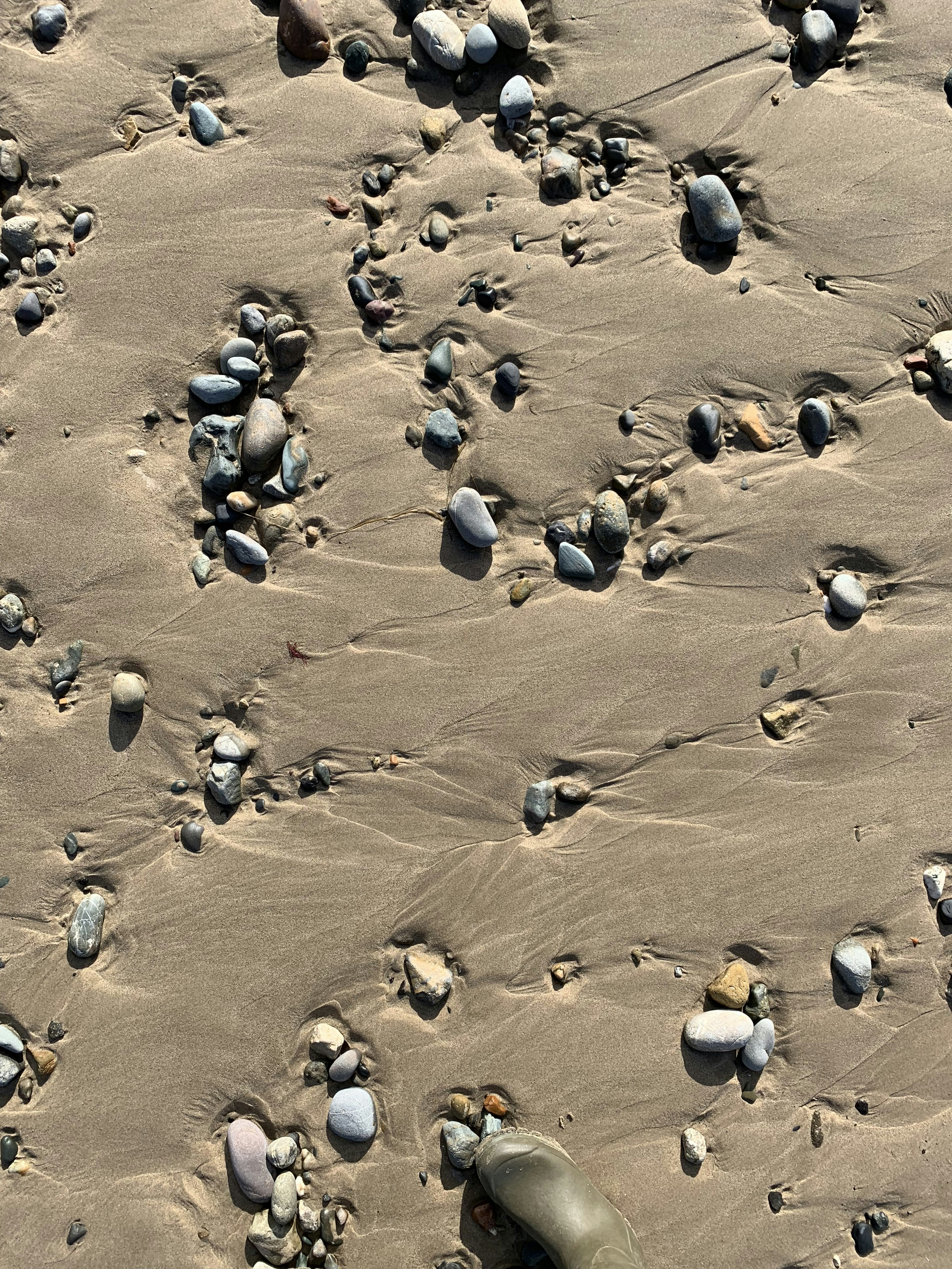 assorted pebbles on sand during daytime photo – Free Sand Image on Unsplash