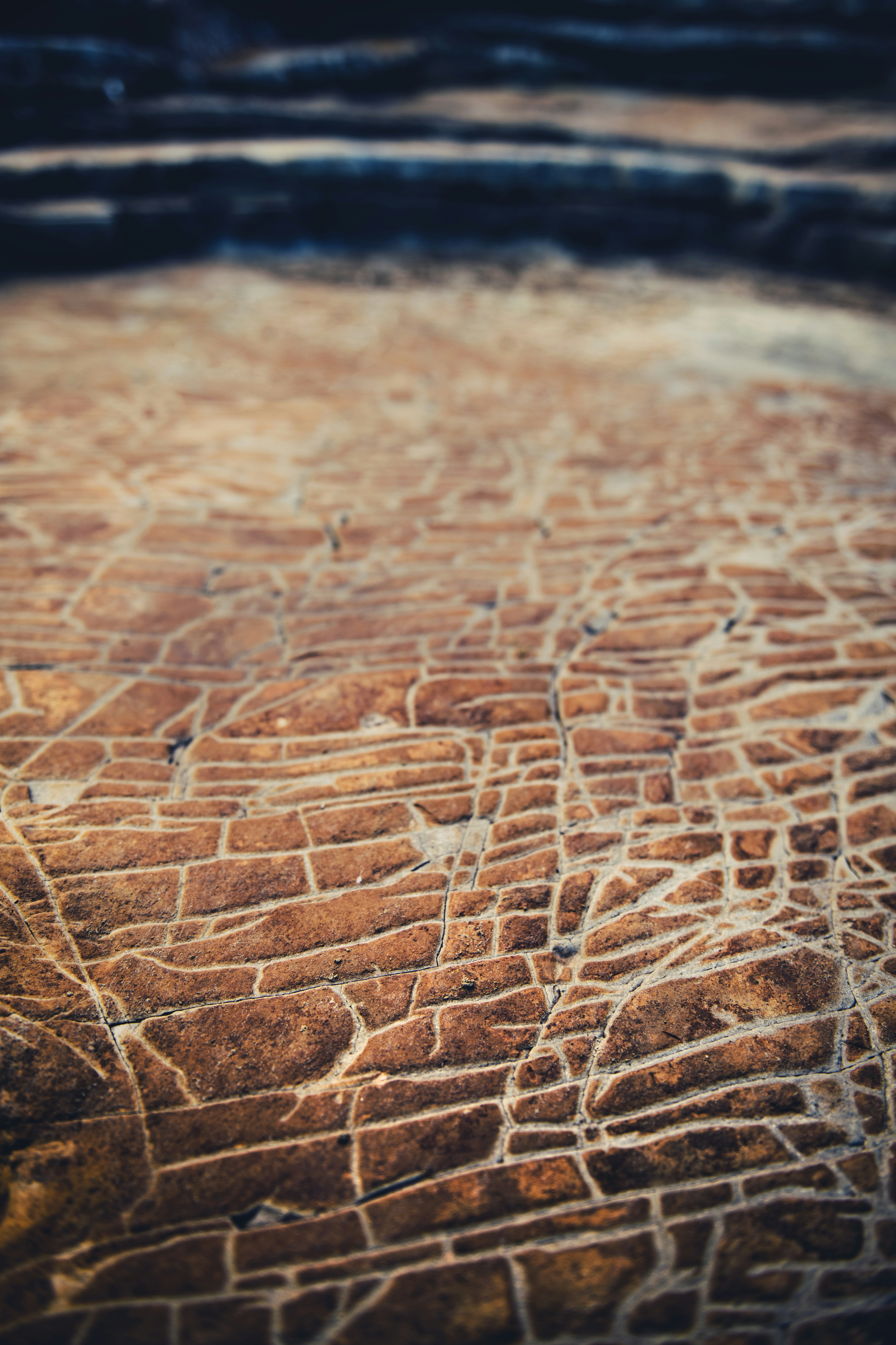 Veins of the Desert: macro study of sun-baked cracked earth