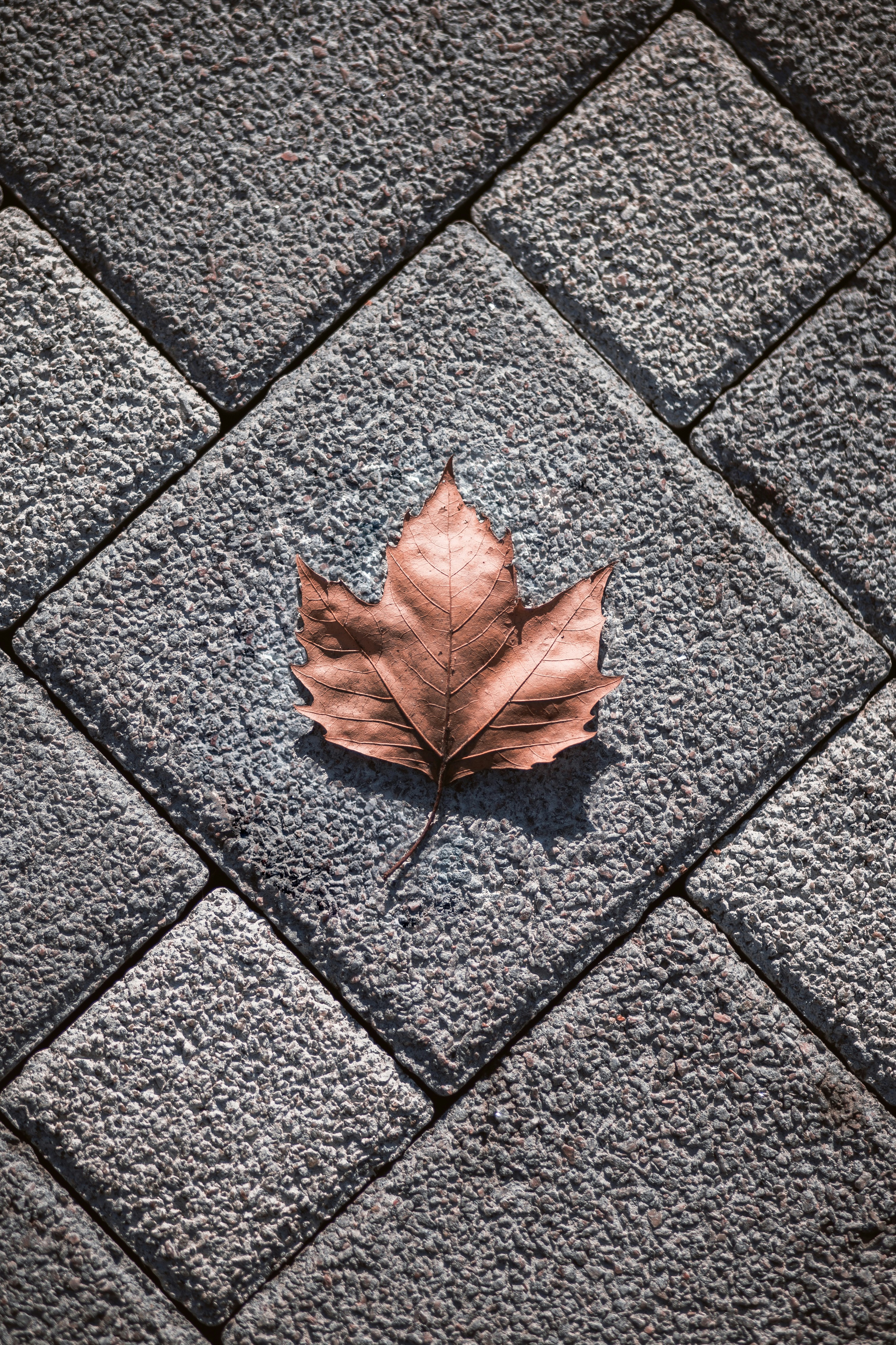 Copper Leaf on a Diamond-Paved Canvas