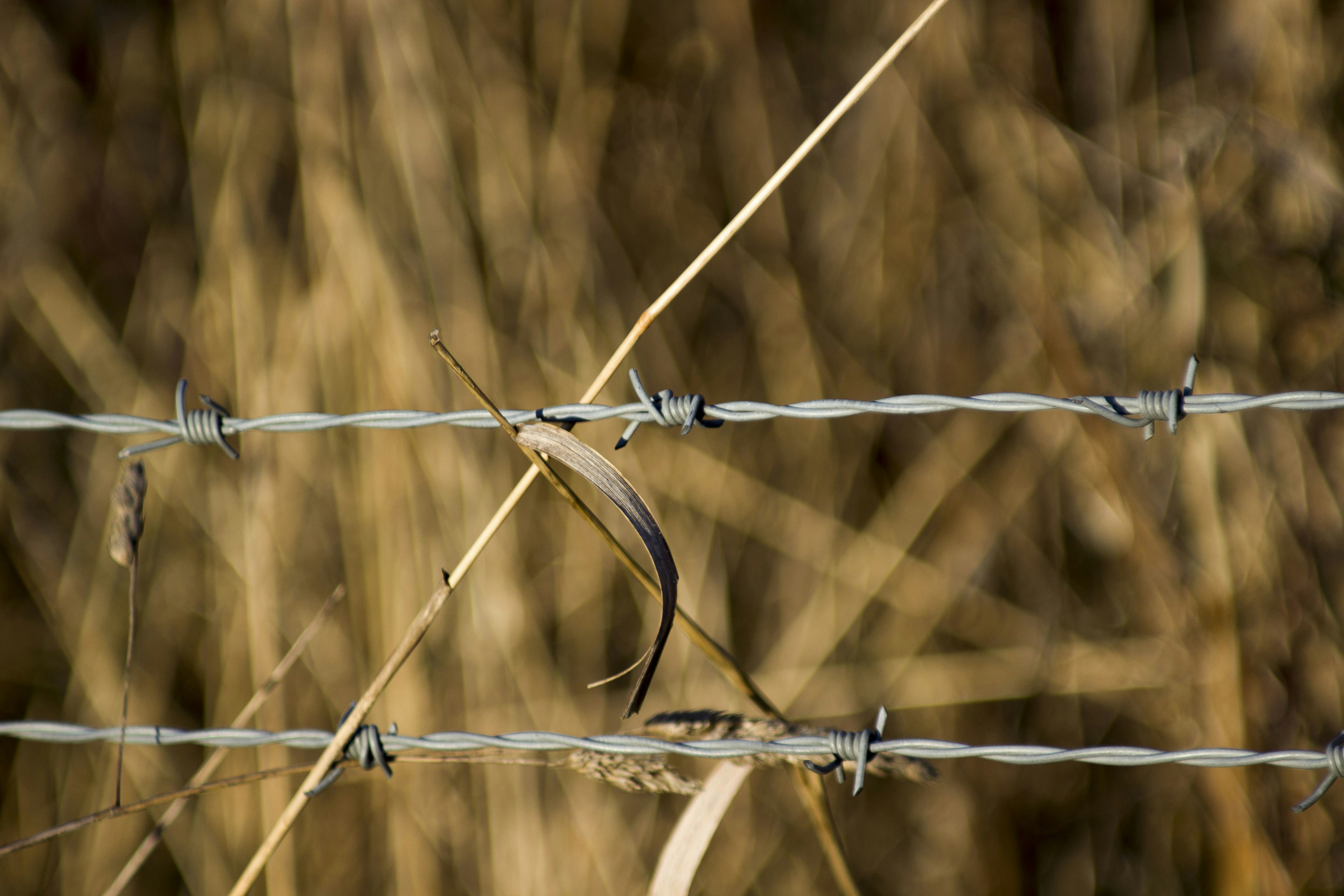 gray barbed wire across grass