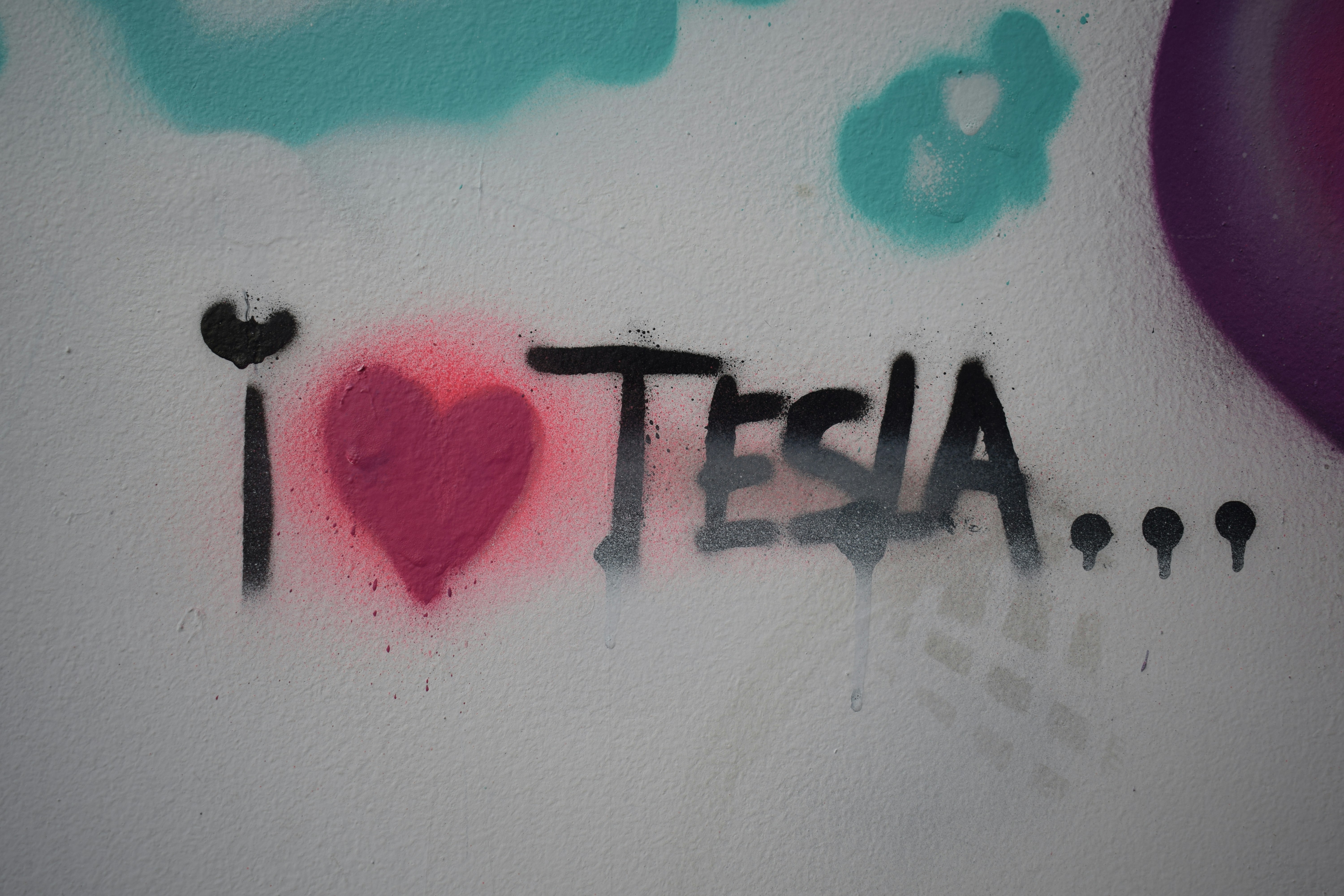 I love tesla text on white background photo – Free Brown Image on Unsplash