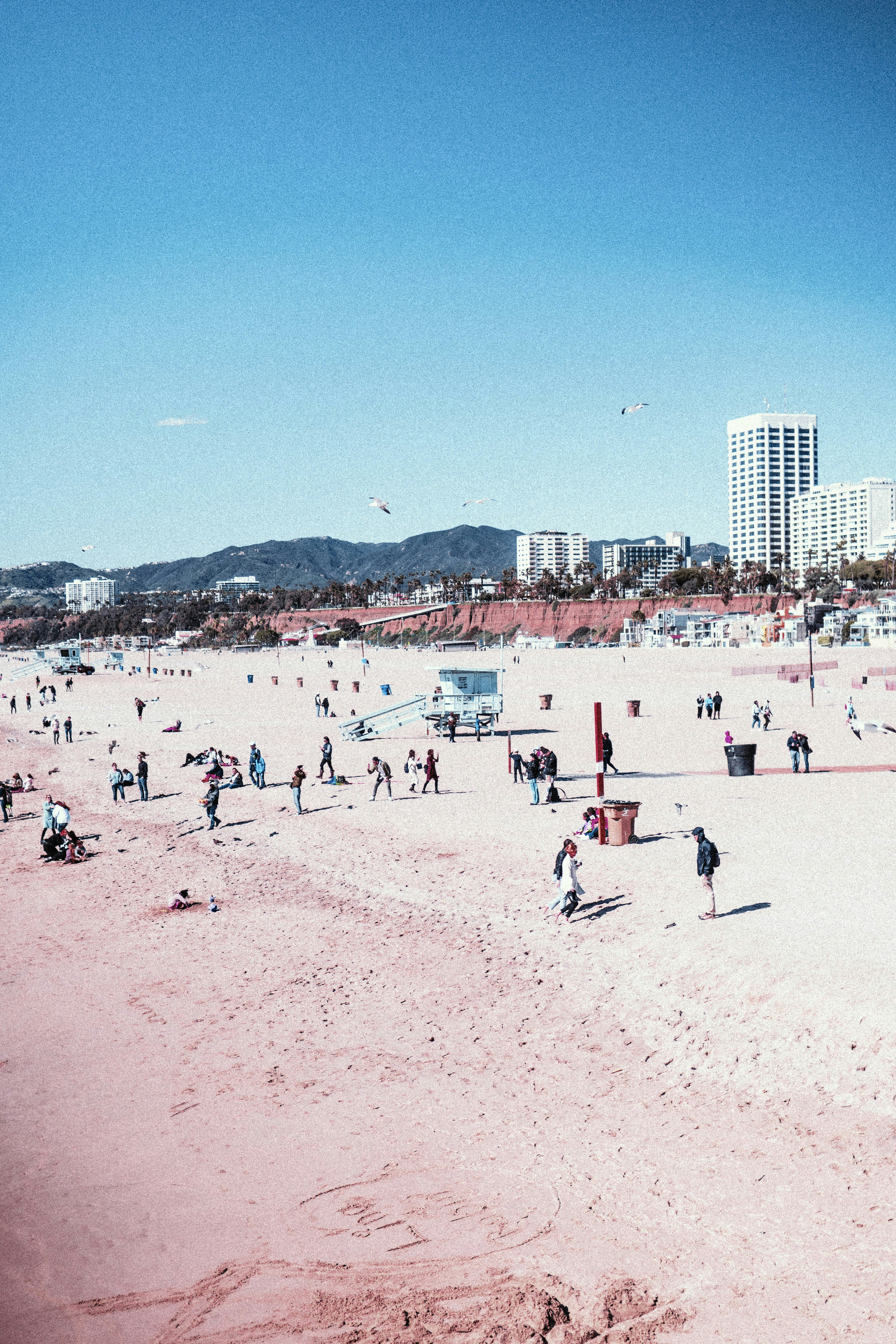Pink Sands, Blue Sky, and a City Backdrop: A Lively Beach Scene