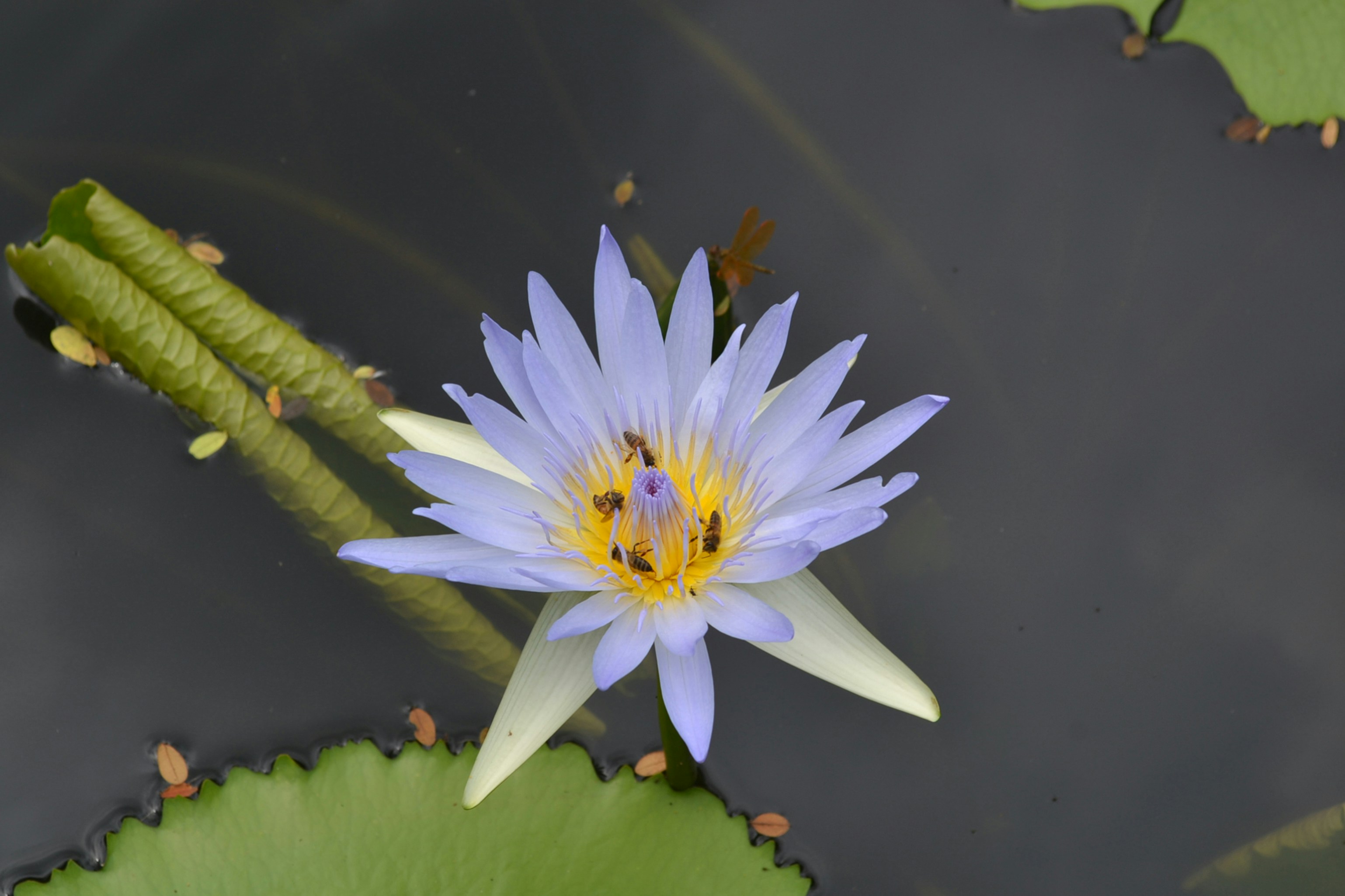 DANIELA VIELMA (@danvi) | Unsplash Photo Community