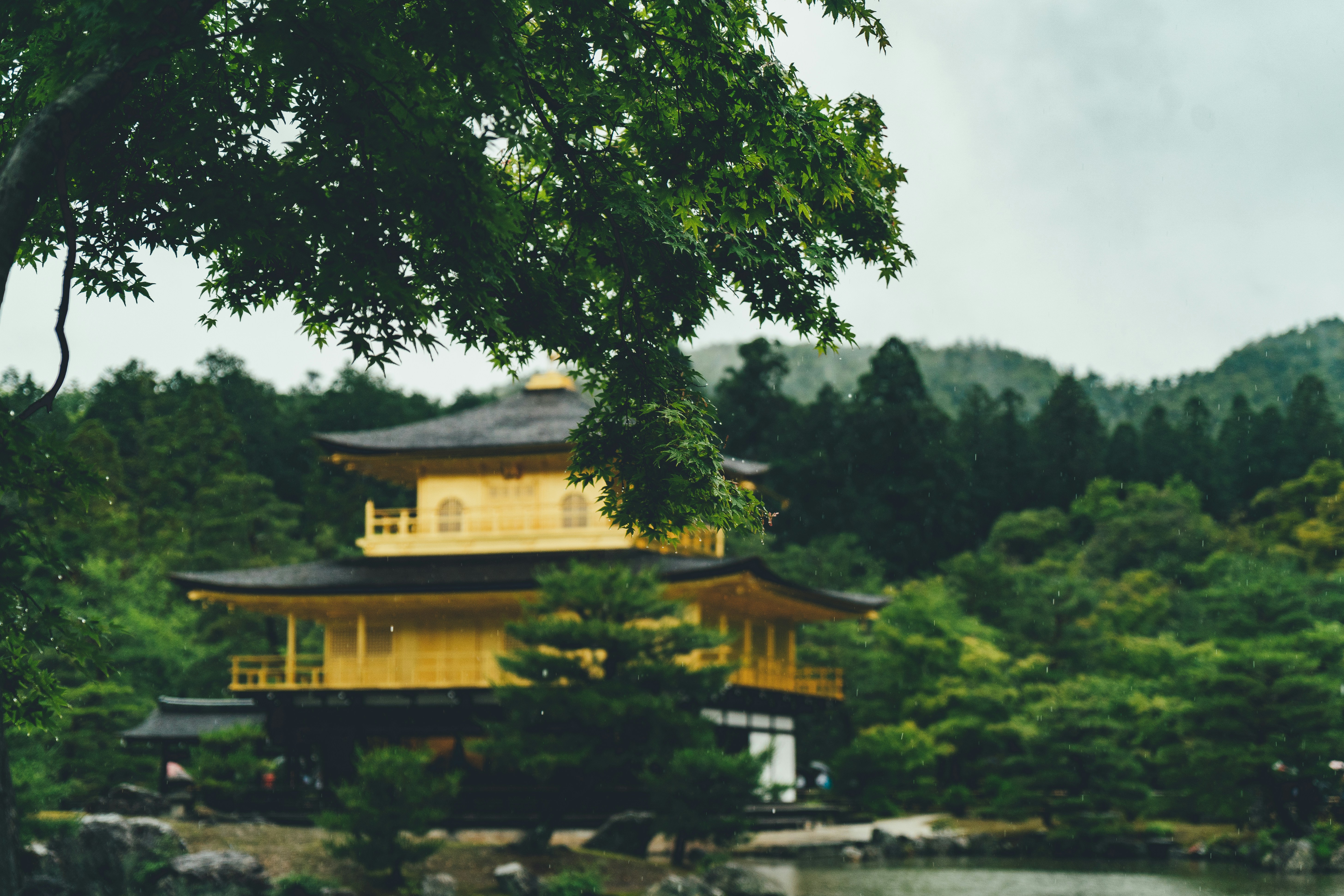 Golden pavilion nestled among lush greenery with foreground leaves framing the scene.