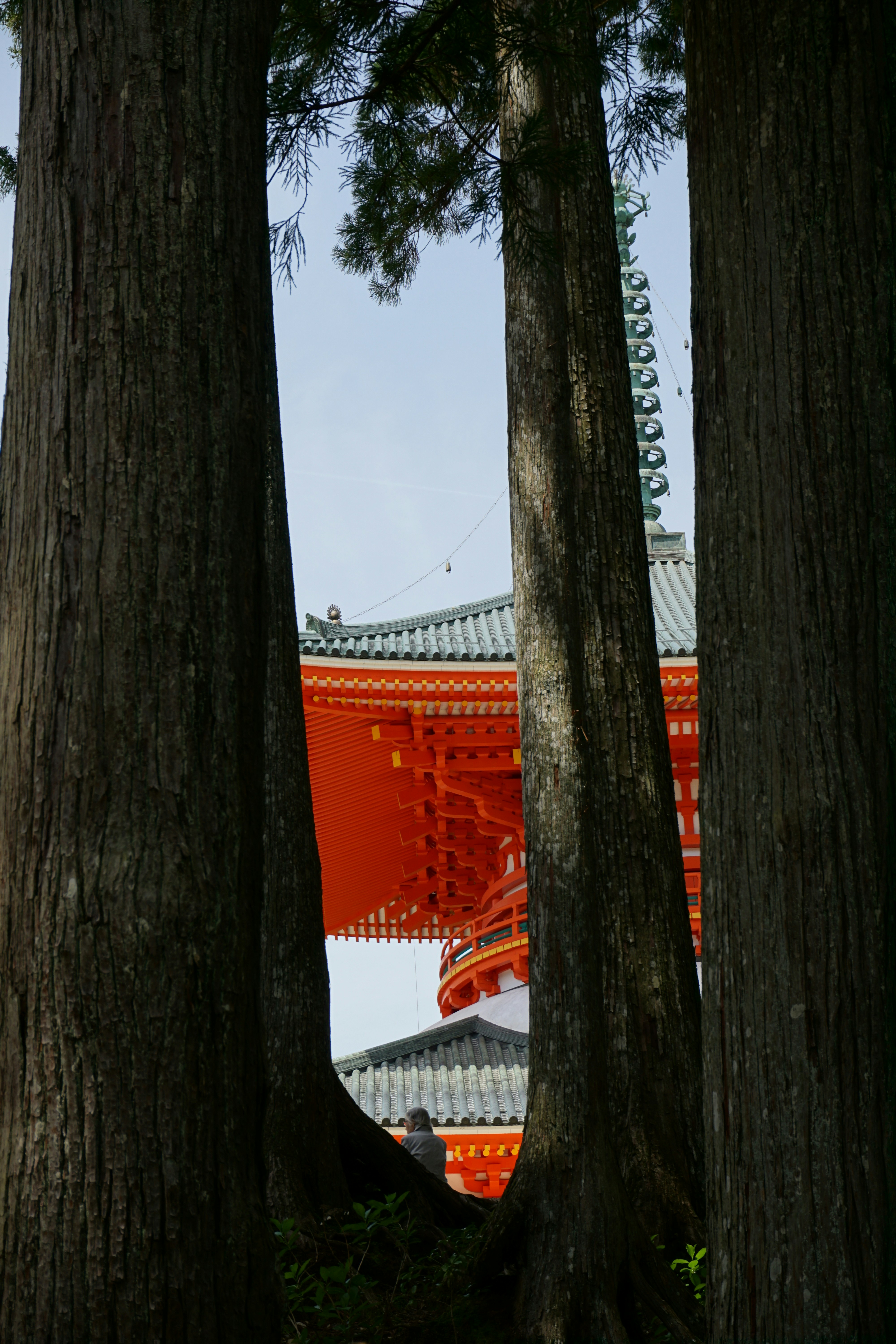 Between Trunks, a Crimson Pagoda Emerges: A Moment of Quiet Architecture
