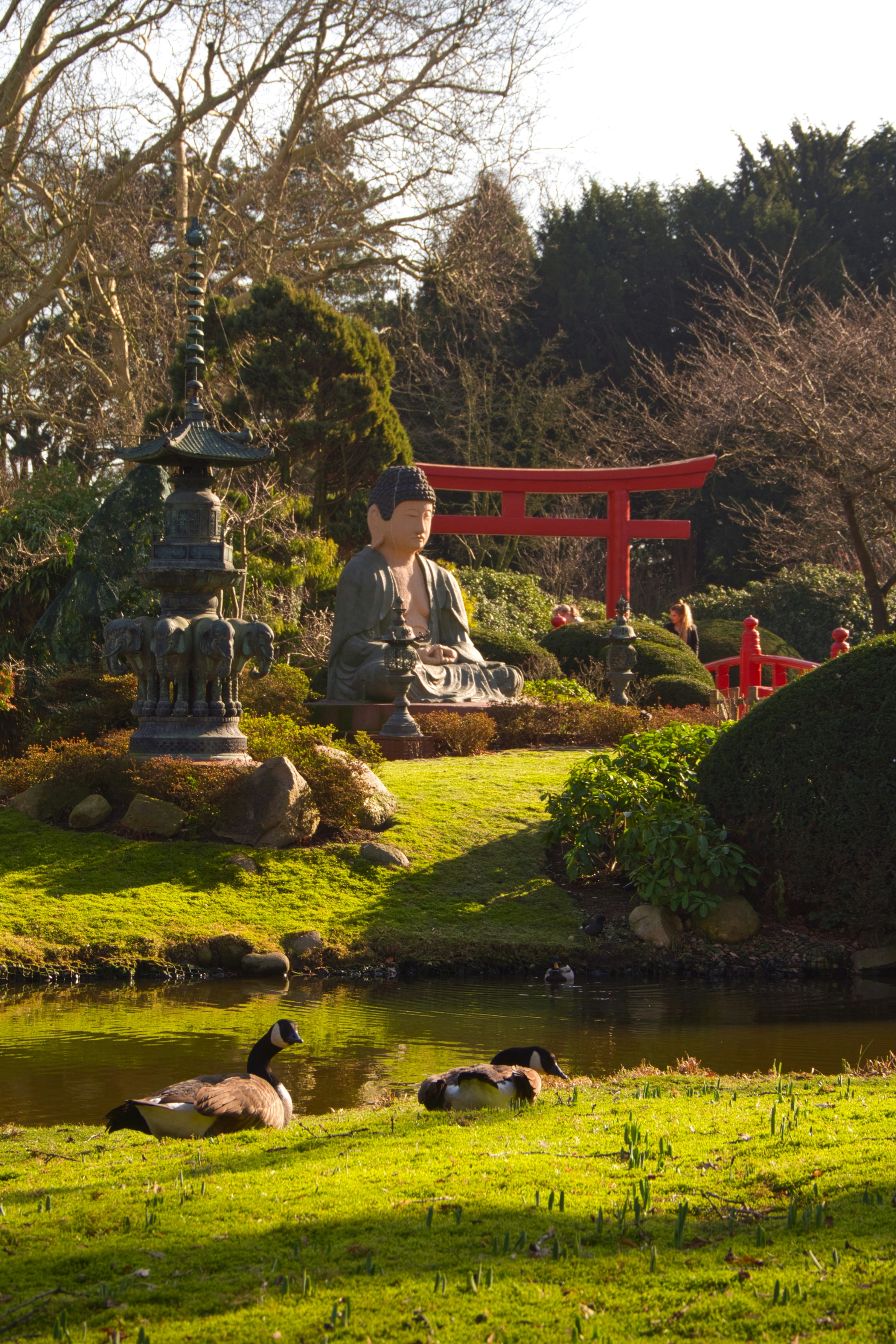 A tranquil garden scene featuring a serene statue of a seated figure, vibrant greenery, and a traditional red torii gate in the background. Ducks rest peacefully by the water's edge.