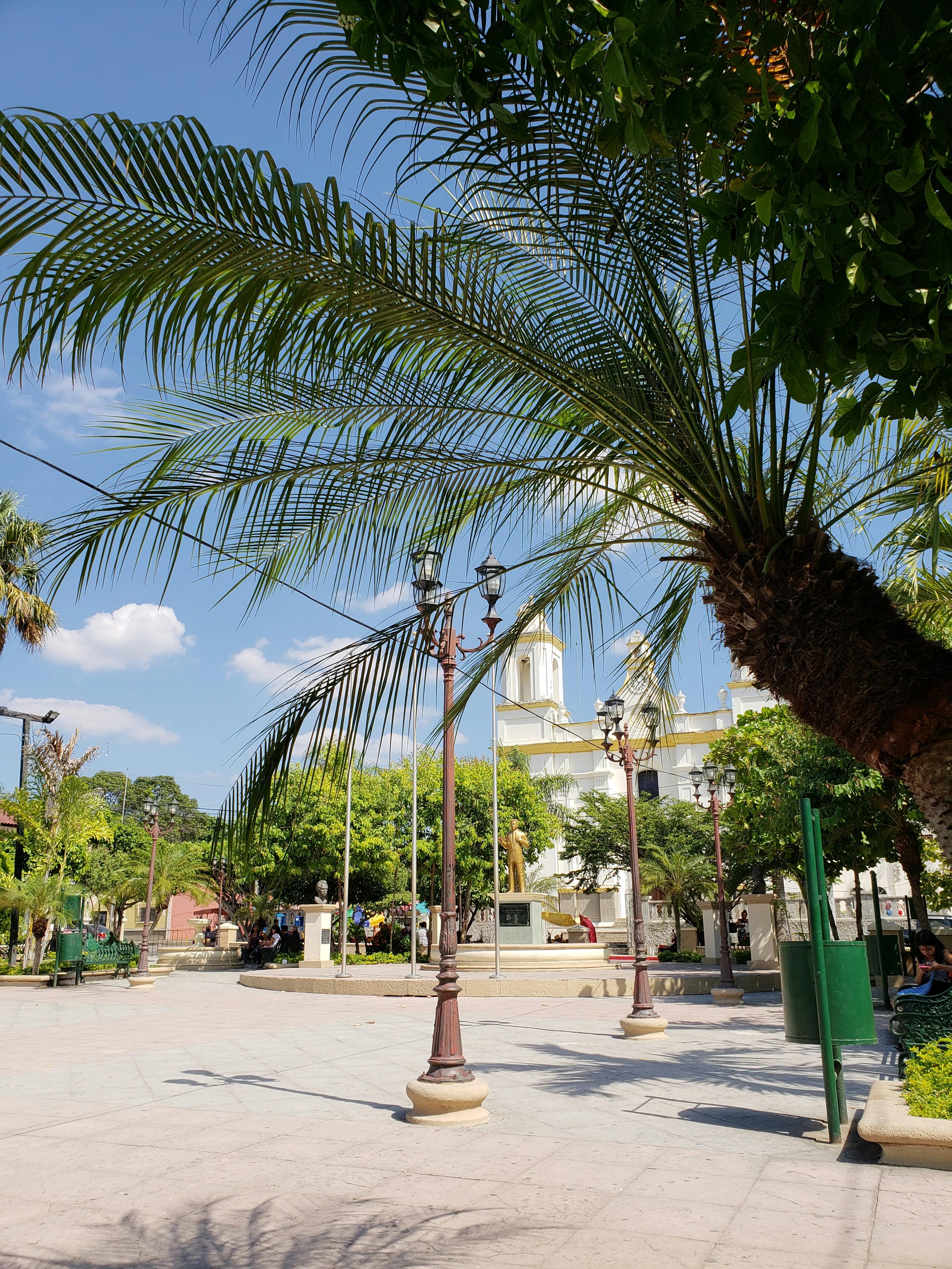 Sunlit Plaza Framed by Swaying PalmsEnrique Marroquín