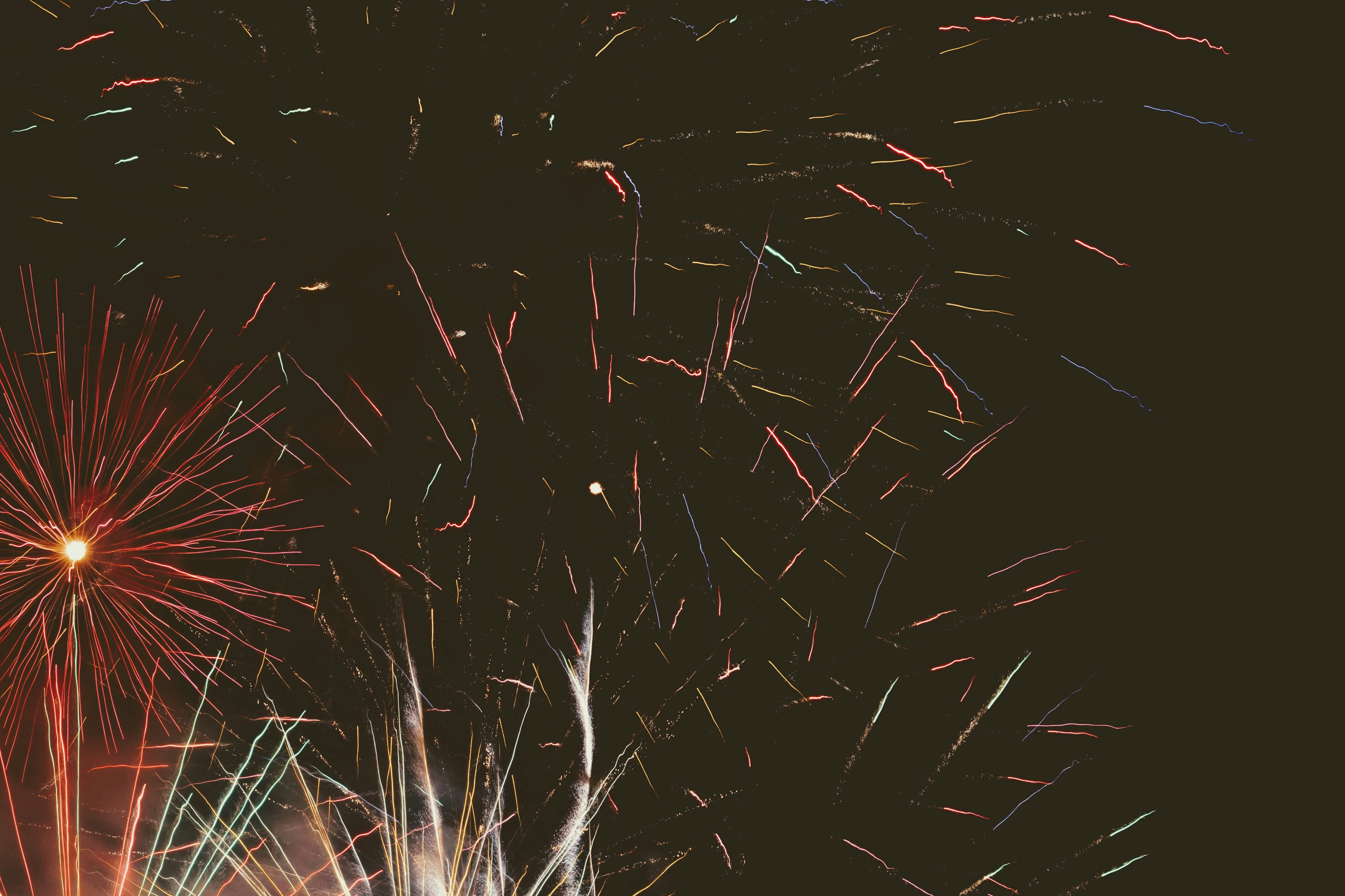 Multicolored fireworks photo – Free Night Image on Unsplash