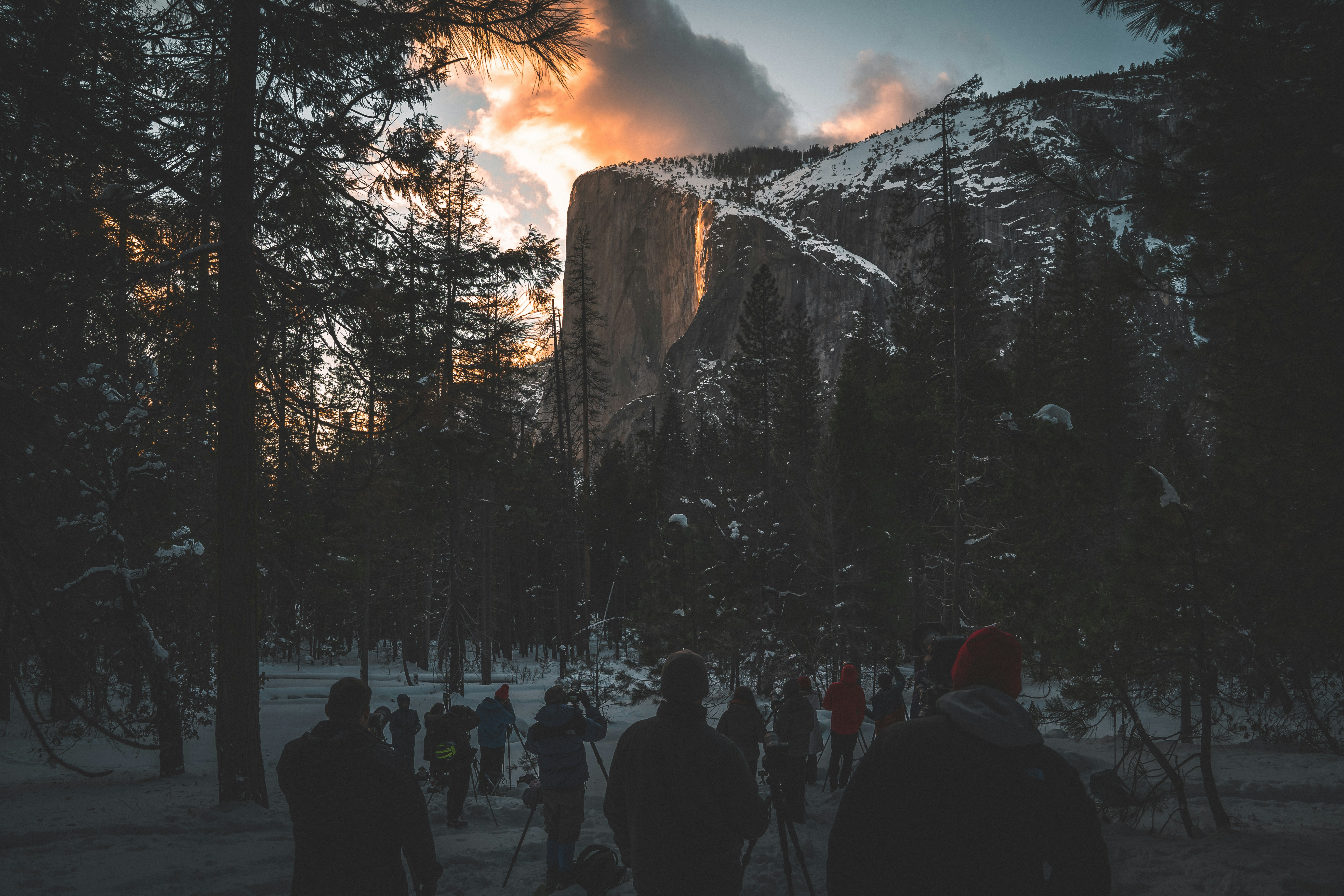 Crowd on open field surrounded by trees near mountain photo – Free Grey ...