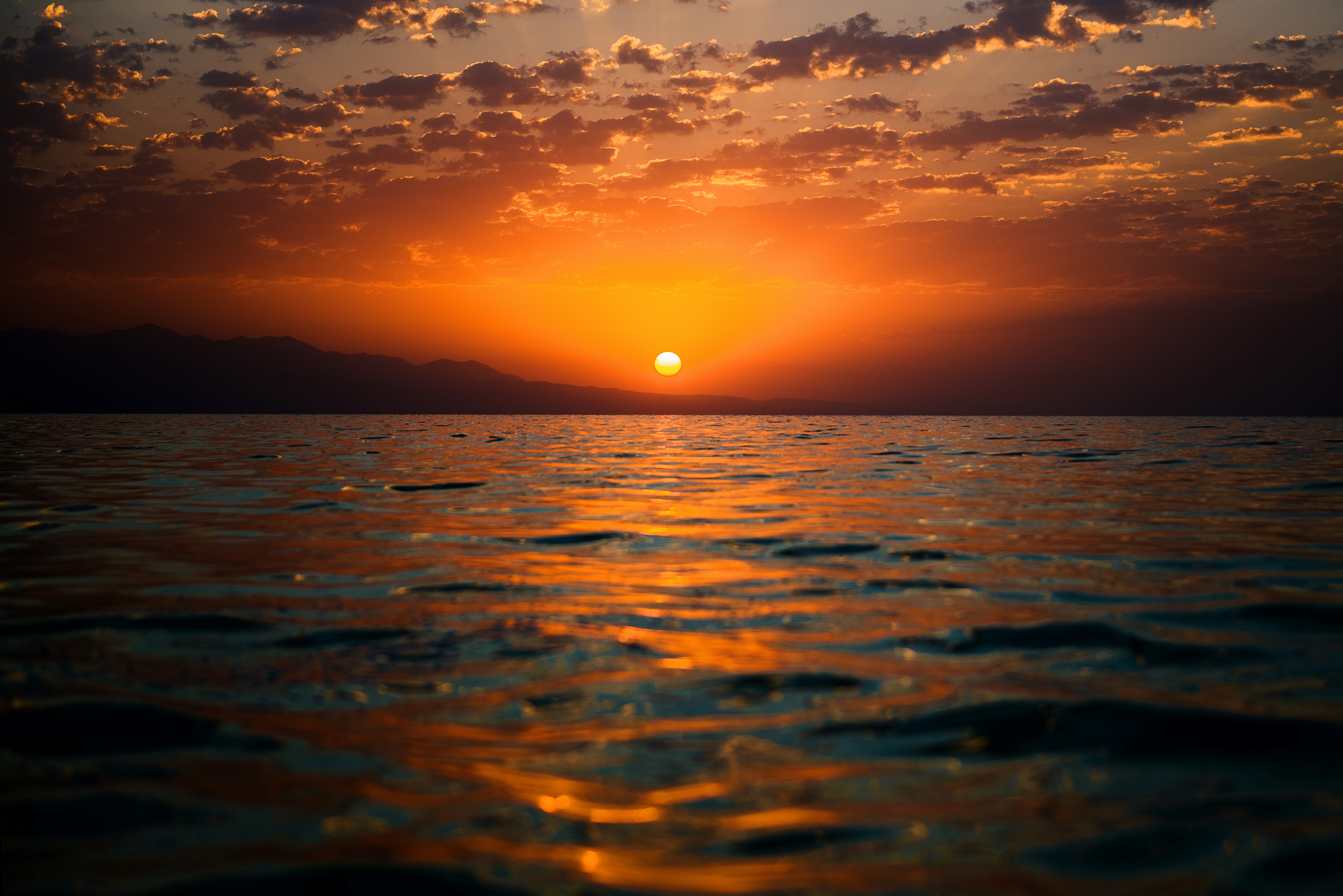 naeim jafari (@naeimj) | Unsplash Photo Community