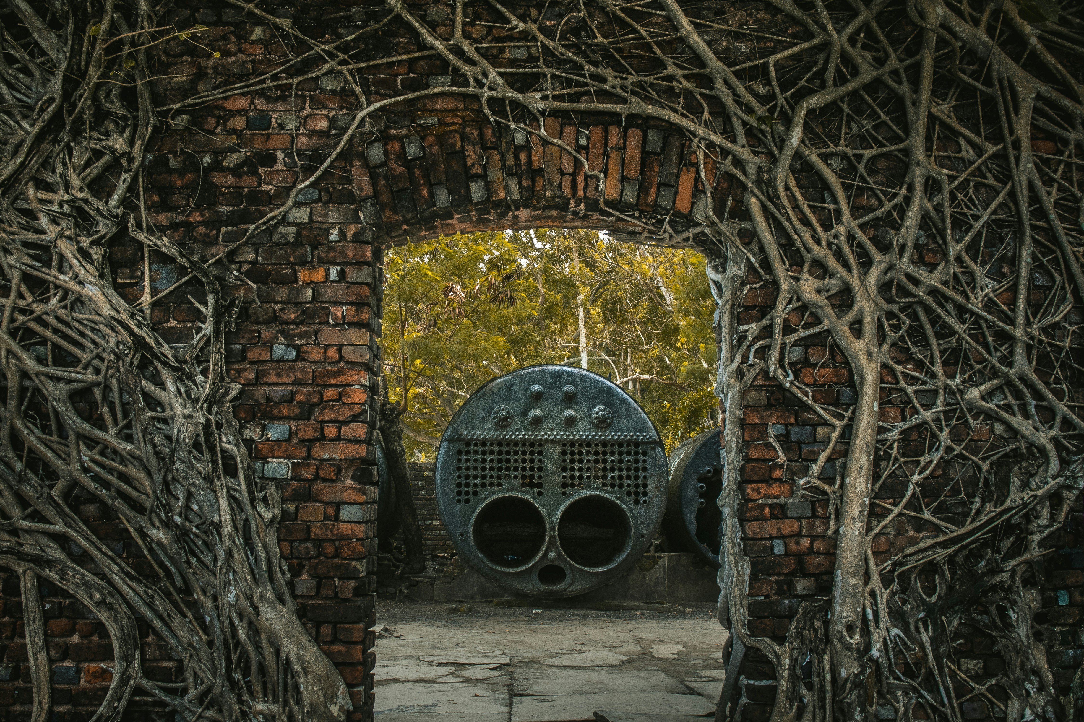 Overgrown Gate to Industrial Echoes