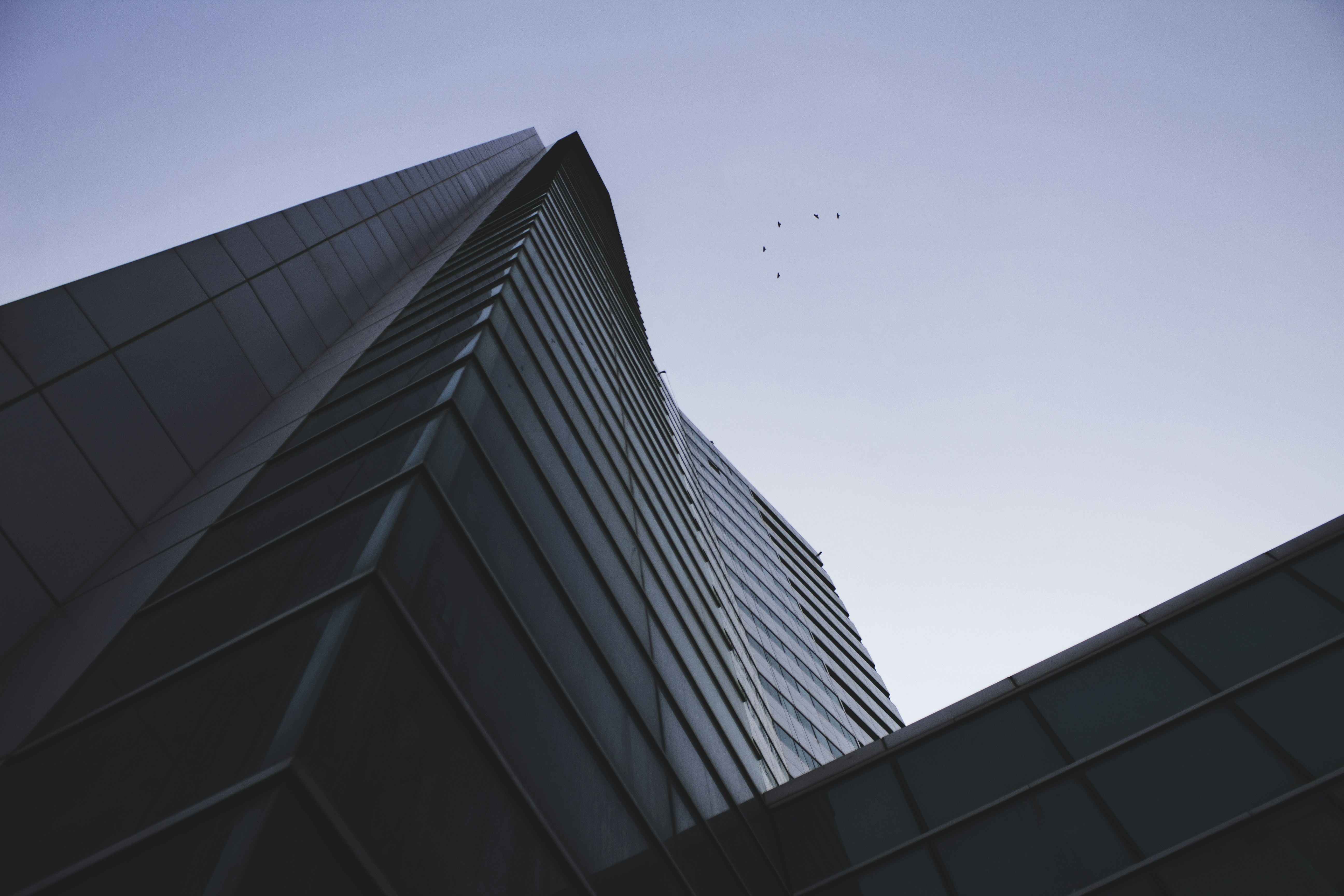 Foto Fotografía de contrapicado de edificios – Imagen Edificio de ...