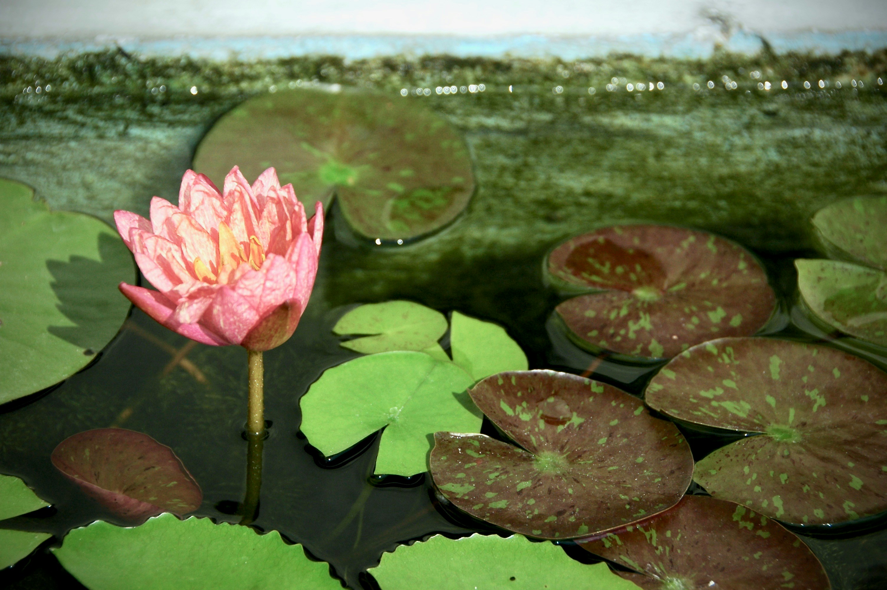 Photo by Jacky Watt with Nikon D70s