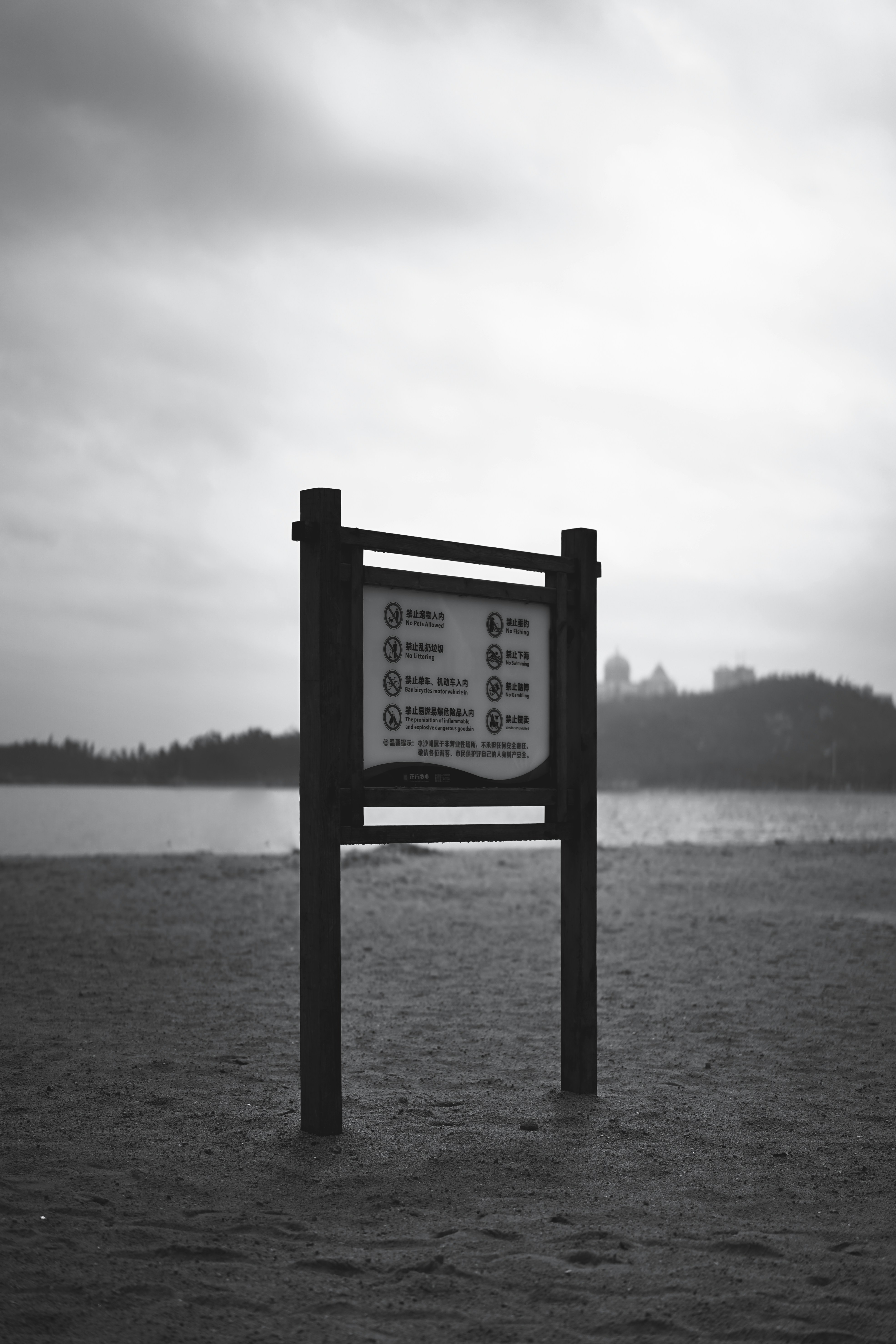 Beacon on the Bare Shore: A Monochrome Signpost Portrait