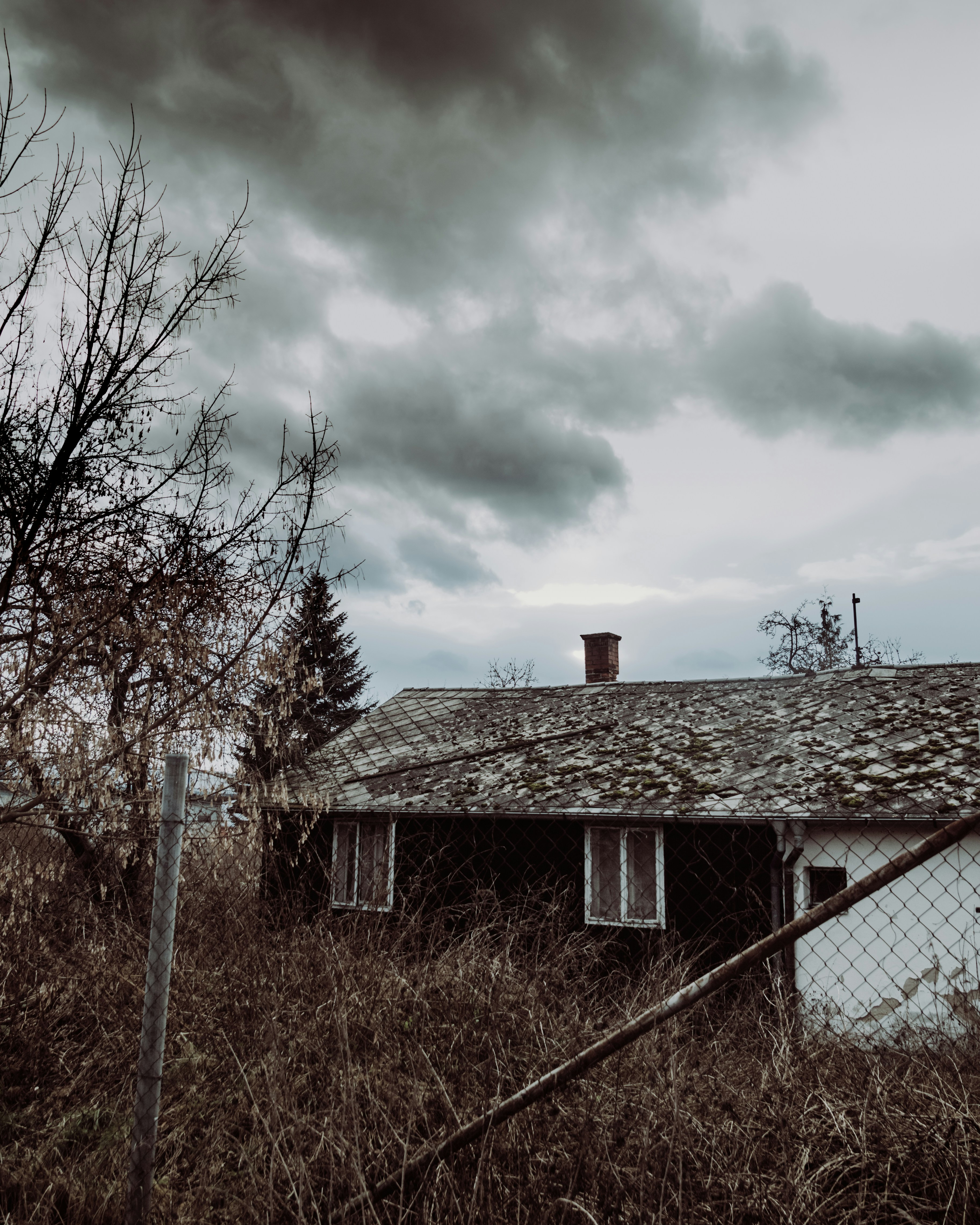 House surrounded by grass photo – Free House Image on Unsplash