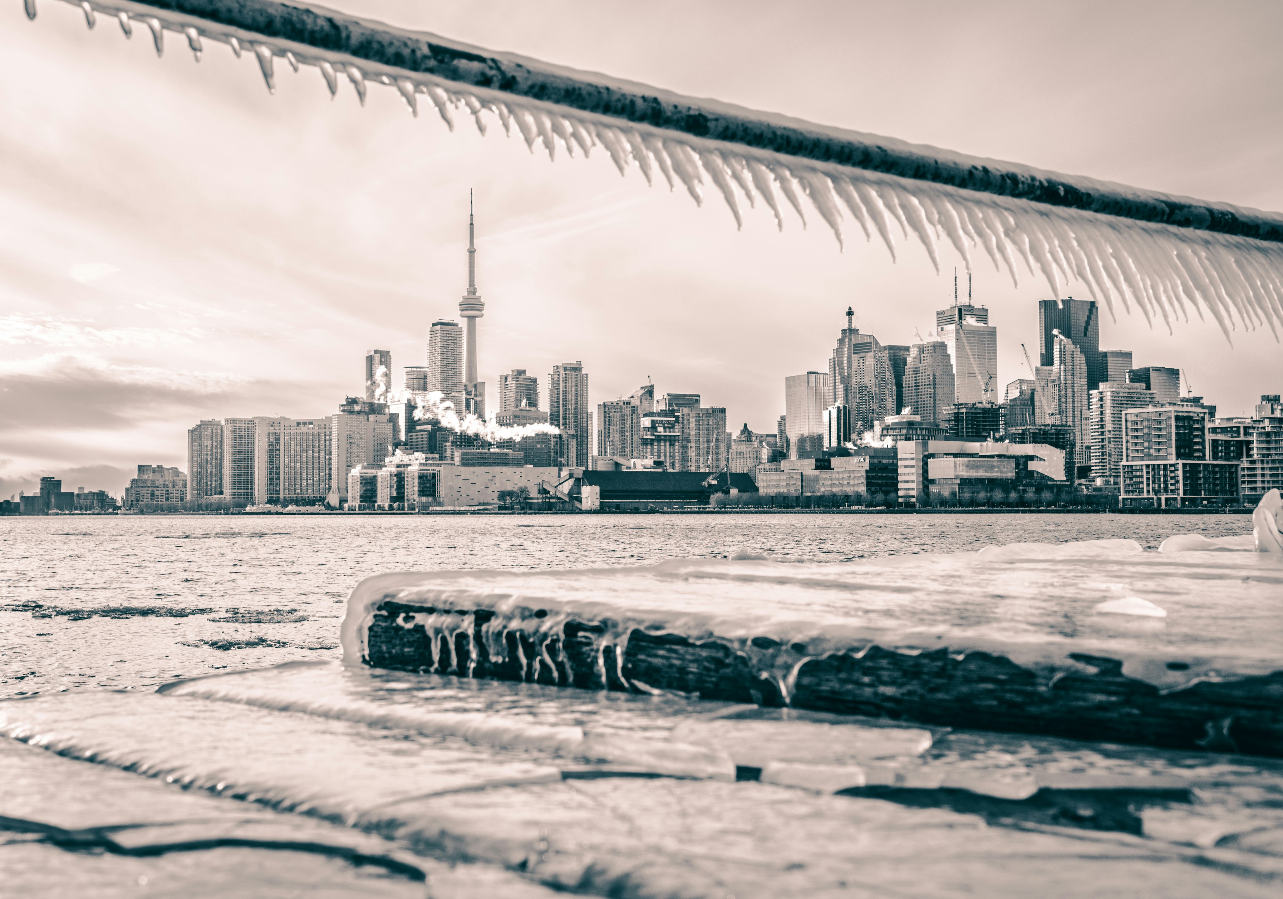 Photo by Stephen H with Sony Alpha 7R III