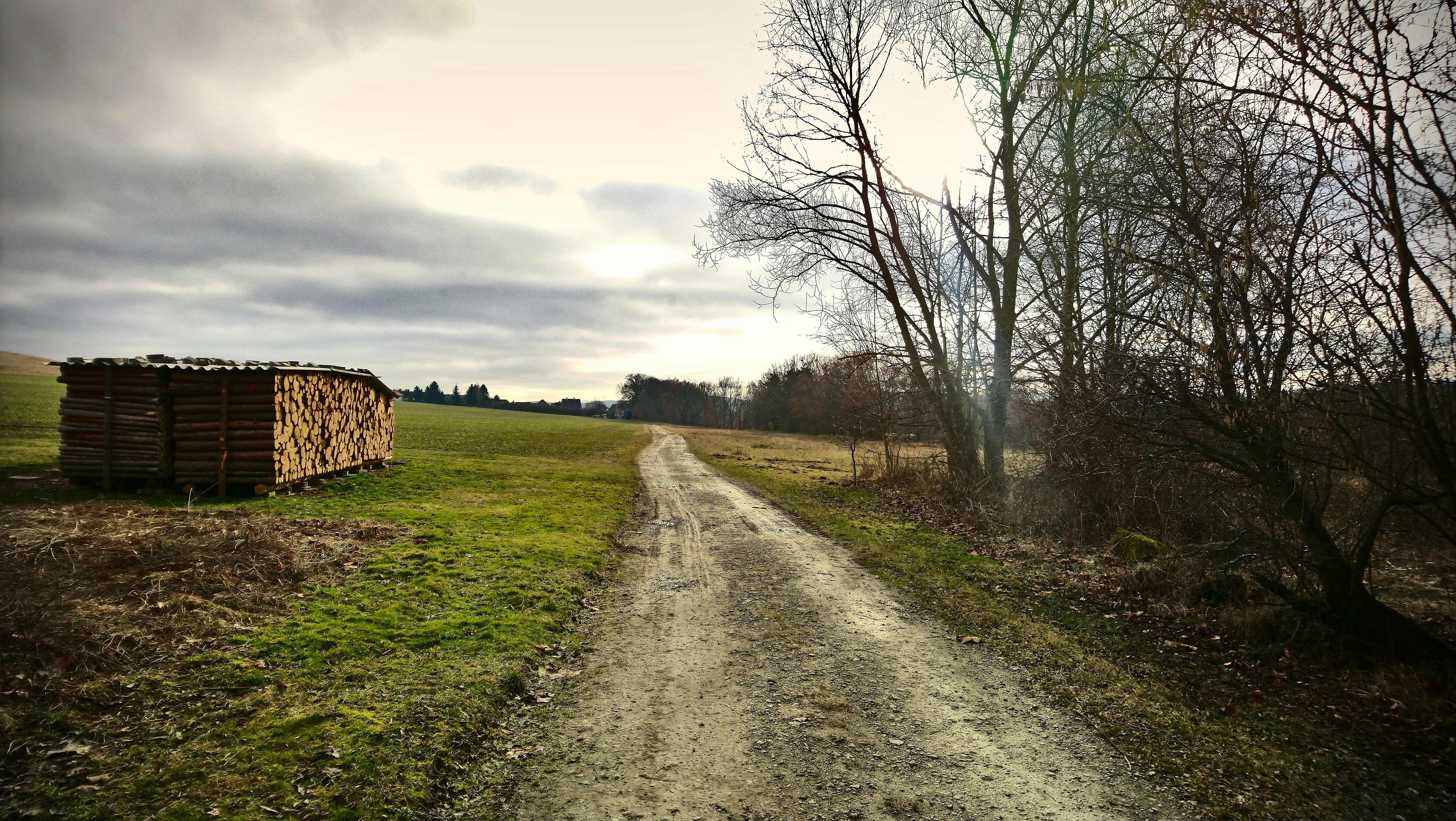 Sample photo from Sony Xperia XA2