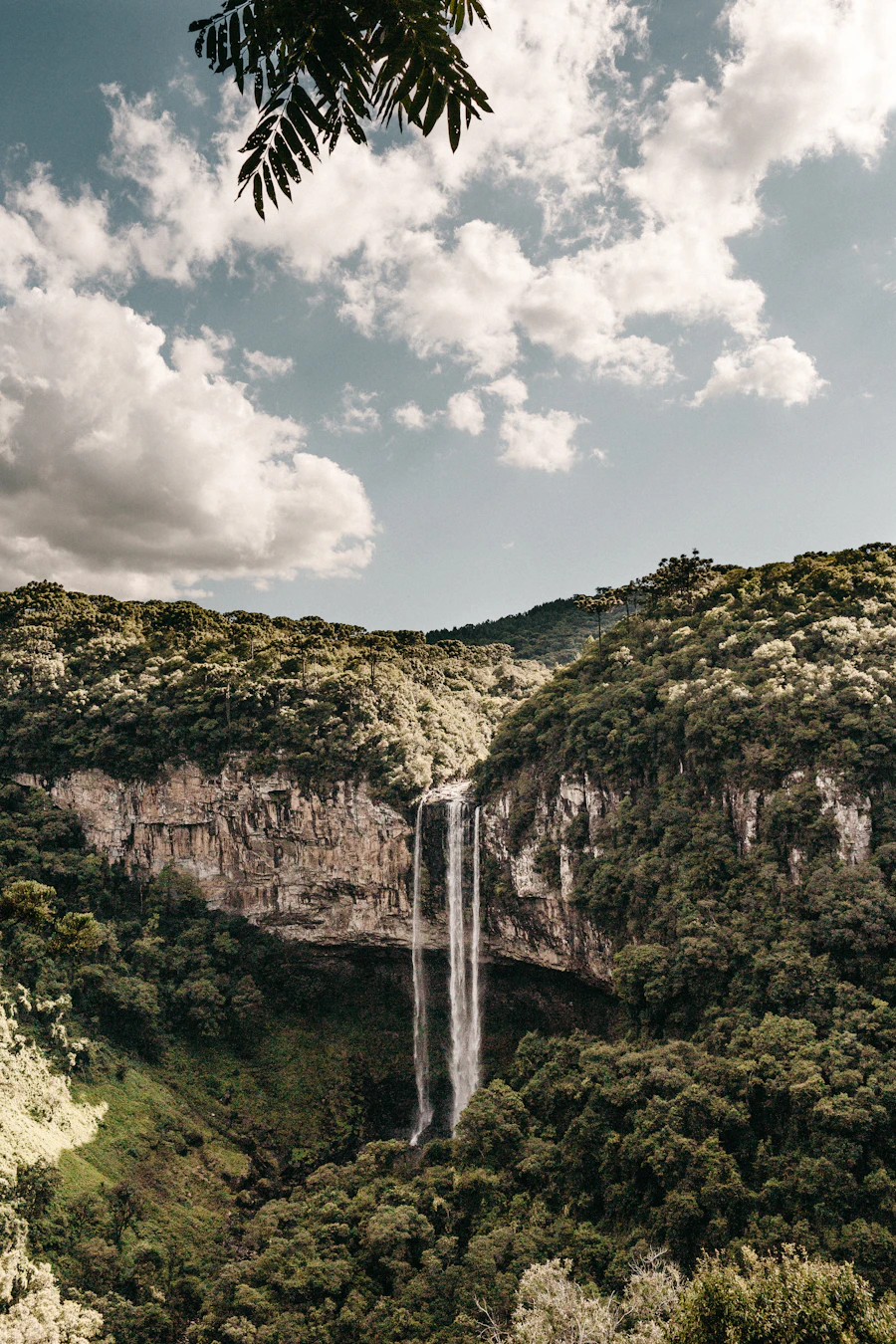 A tall twin waterfall drops from a rocky cliff into a lush green gorge beneath a cloudy sky. Tree leaves frame the top edge of the scene.