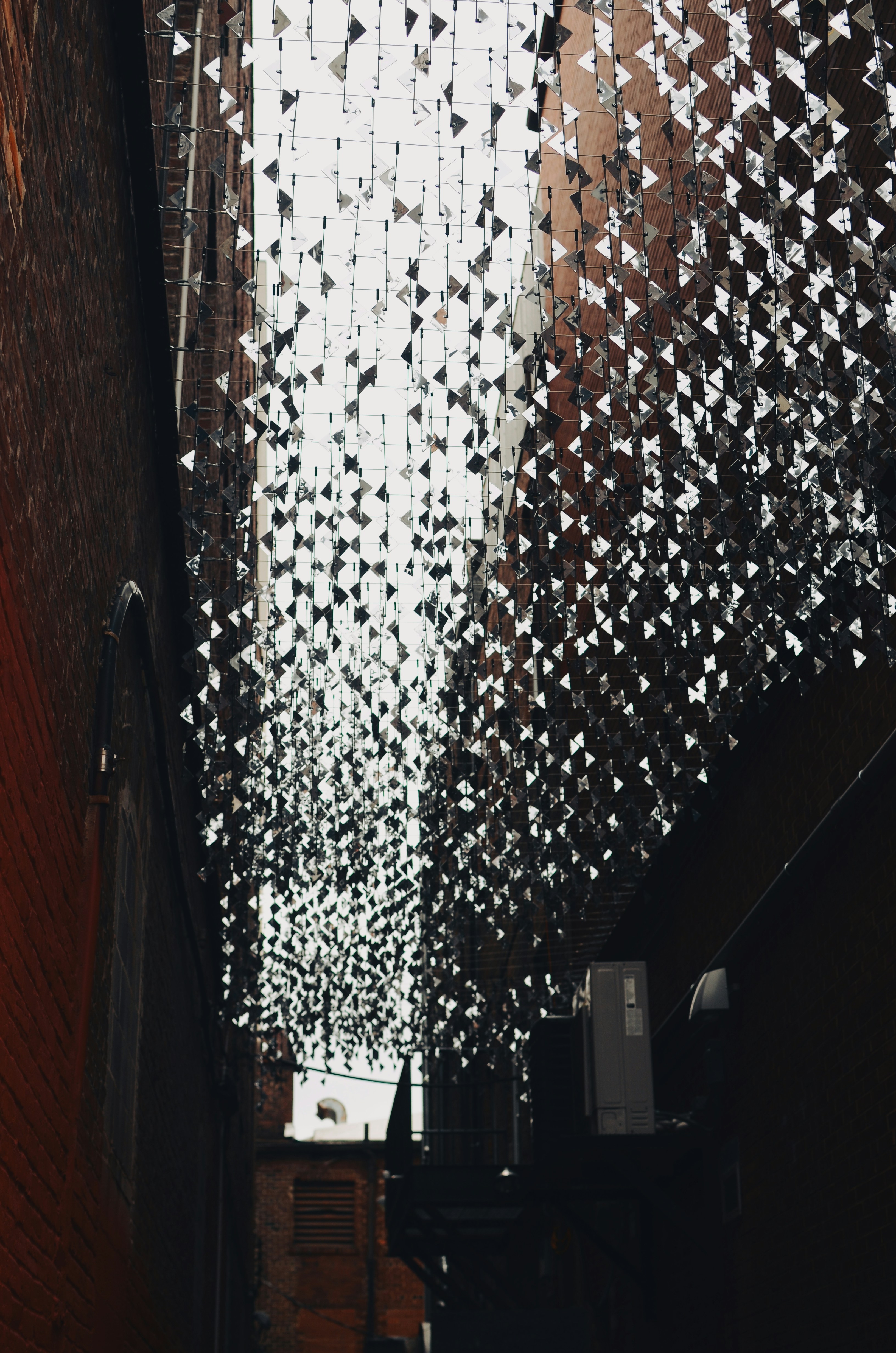 A street with a bunch of birds hanging from the ceiling photo – Free ...