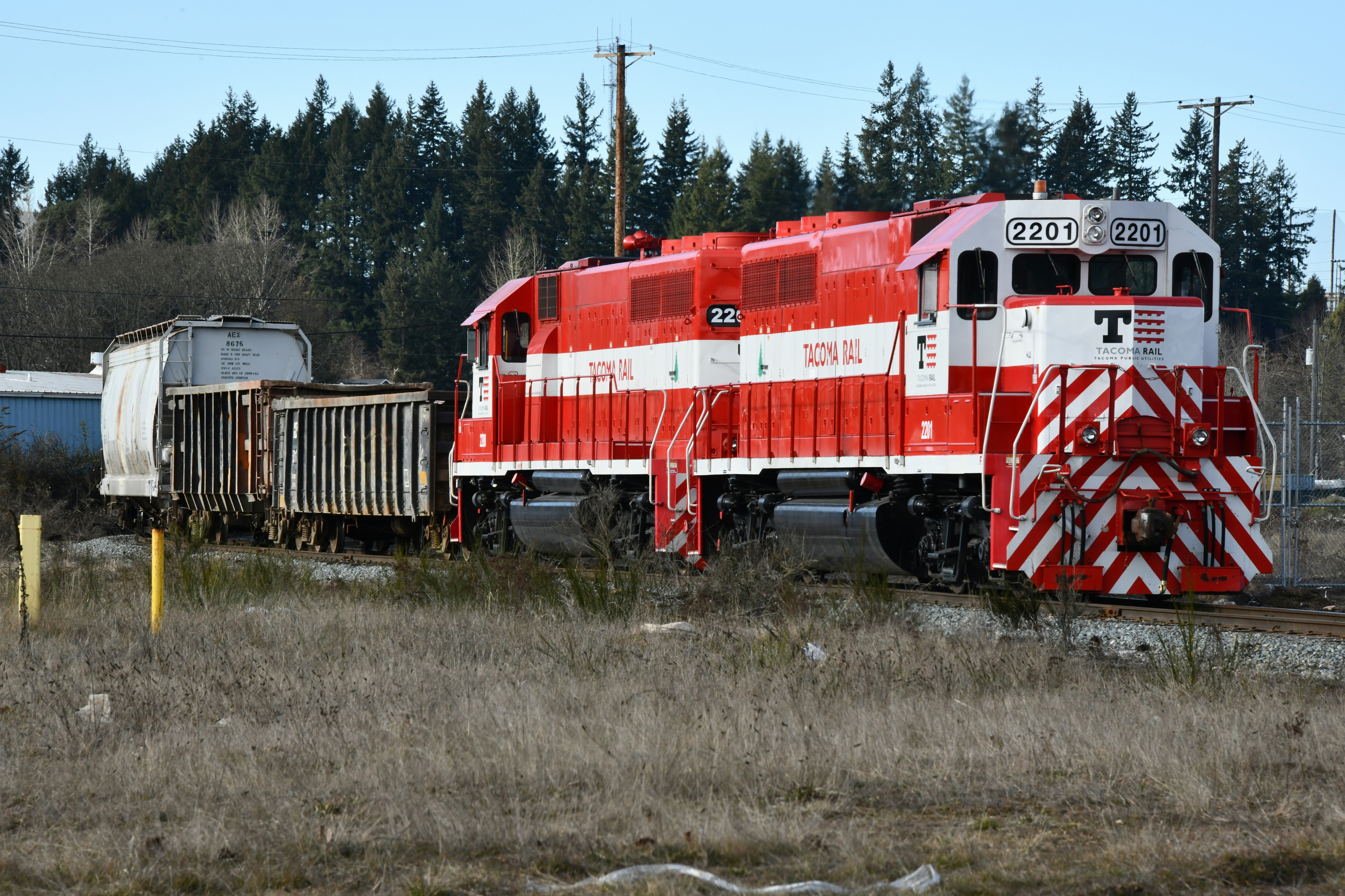 Vibrant Locomotive in Motion