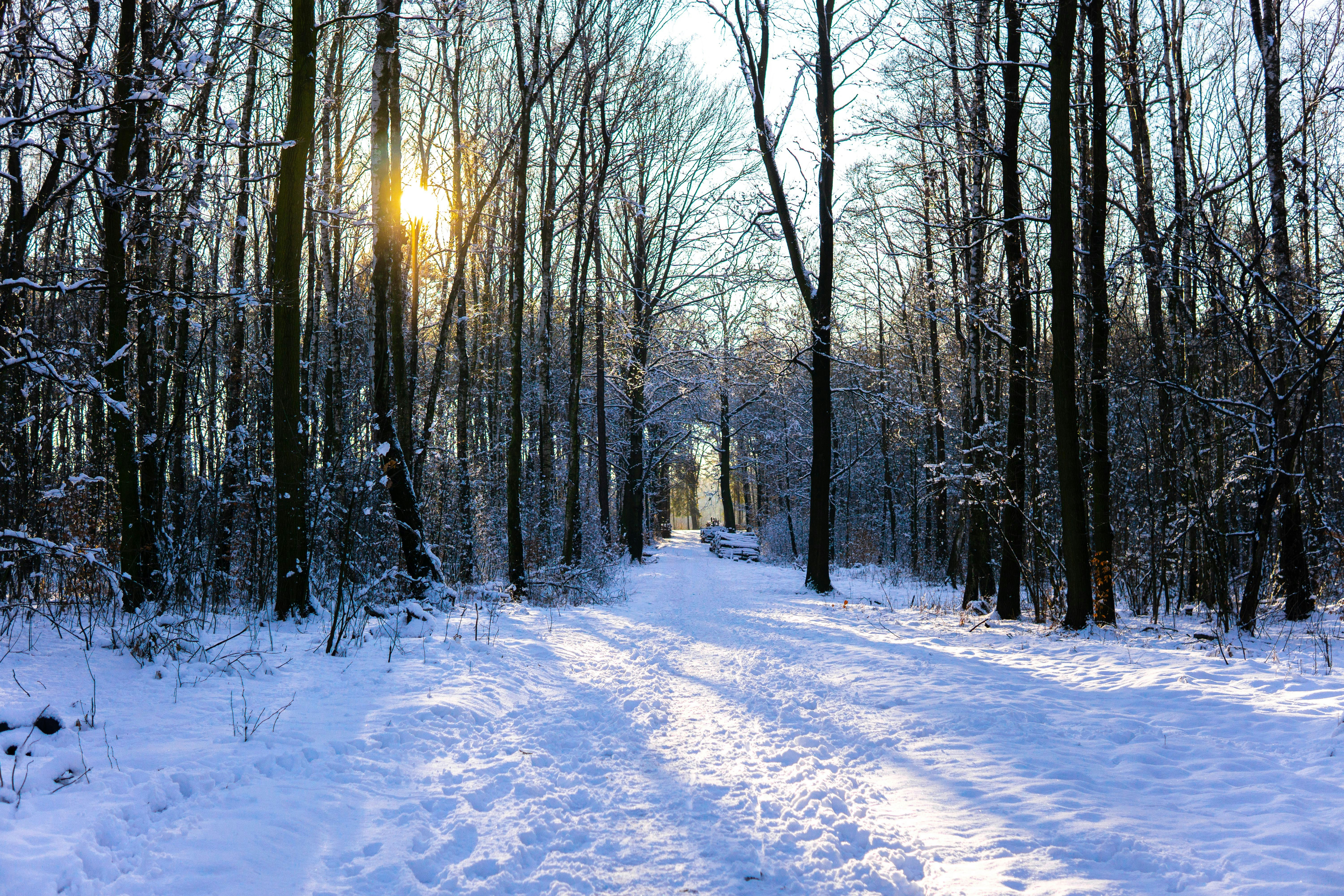 Winter Inspirational Quotes to Warm Your Soul & Lift Spirits