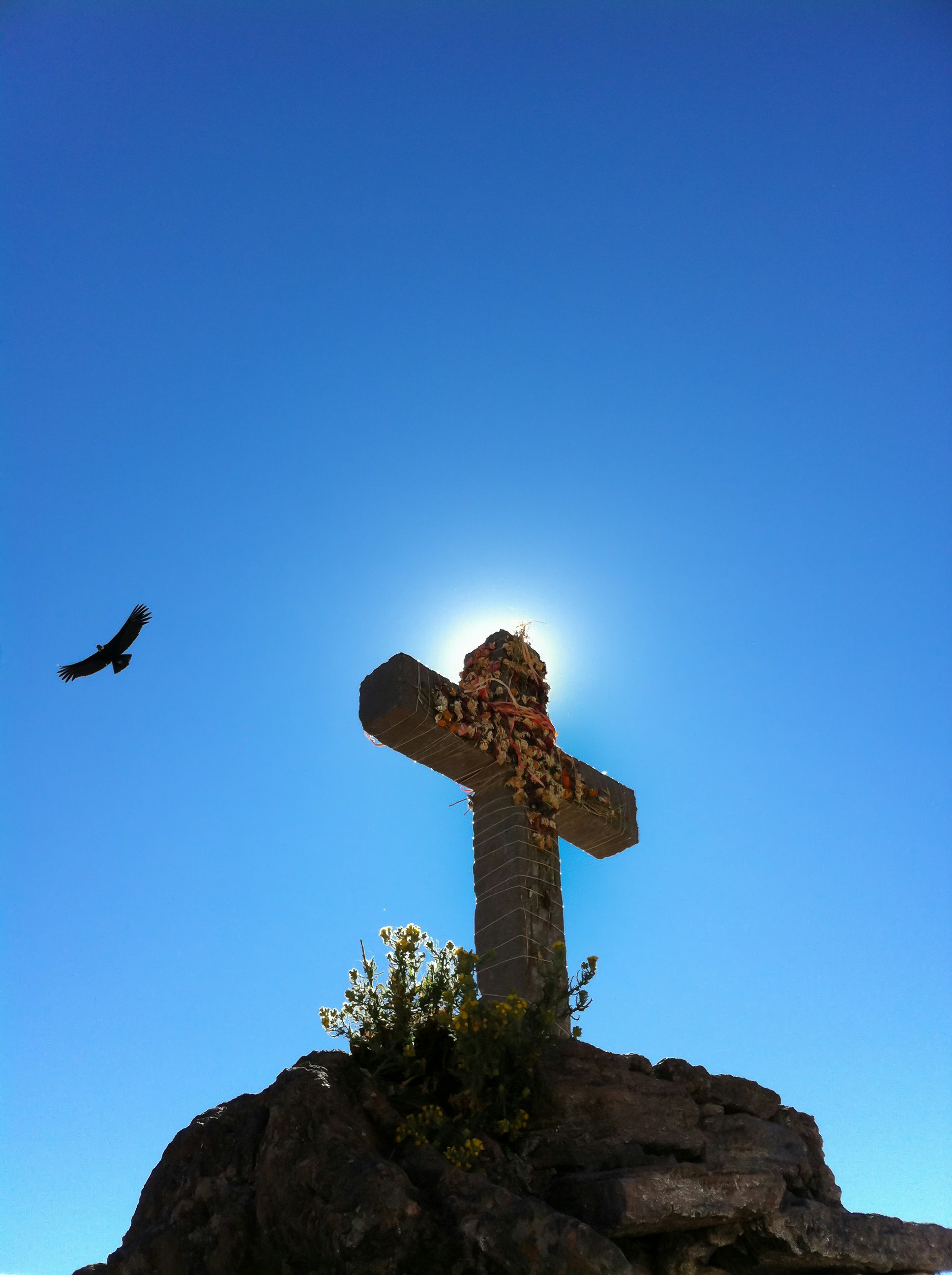 A cross adorned with flowers stands prominently against a clear blue sky, illuminated by sunlight, while a bird soars nearby.