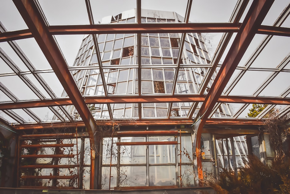 Vitax Pro Greenhouse Shading Liquid | Vitax PRO