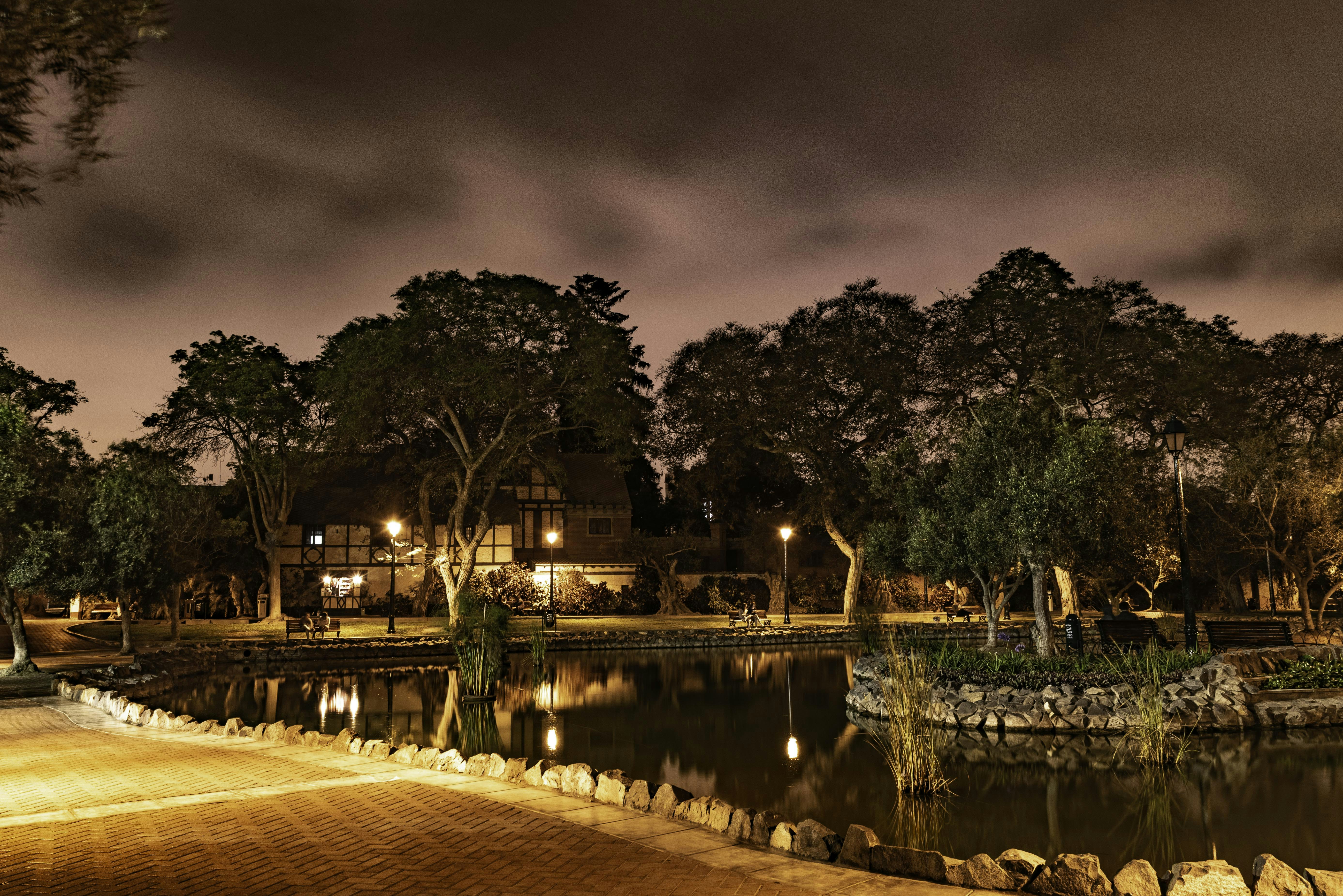 Green-leafed trees beside water photo – Free Resort Image on Unsplash