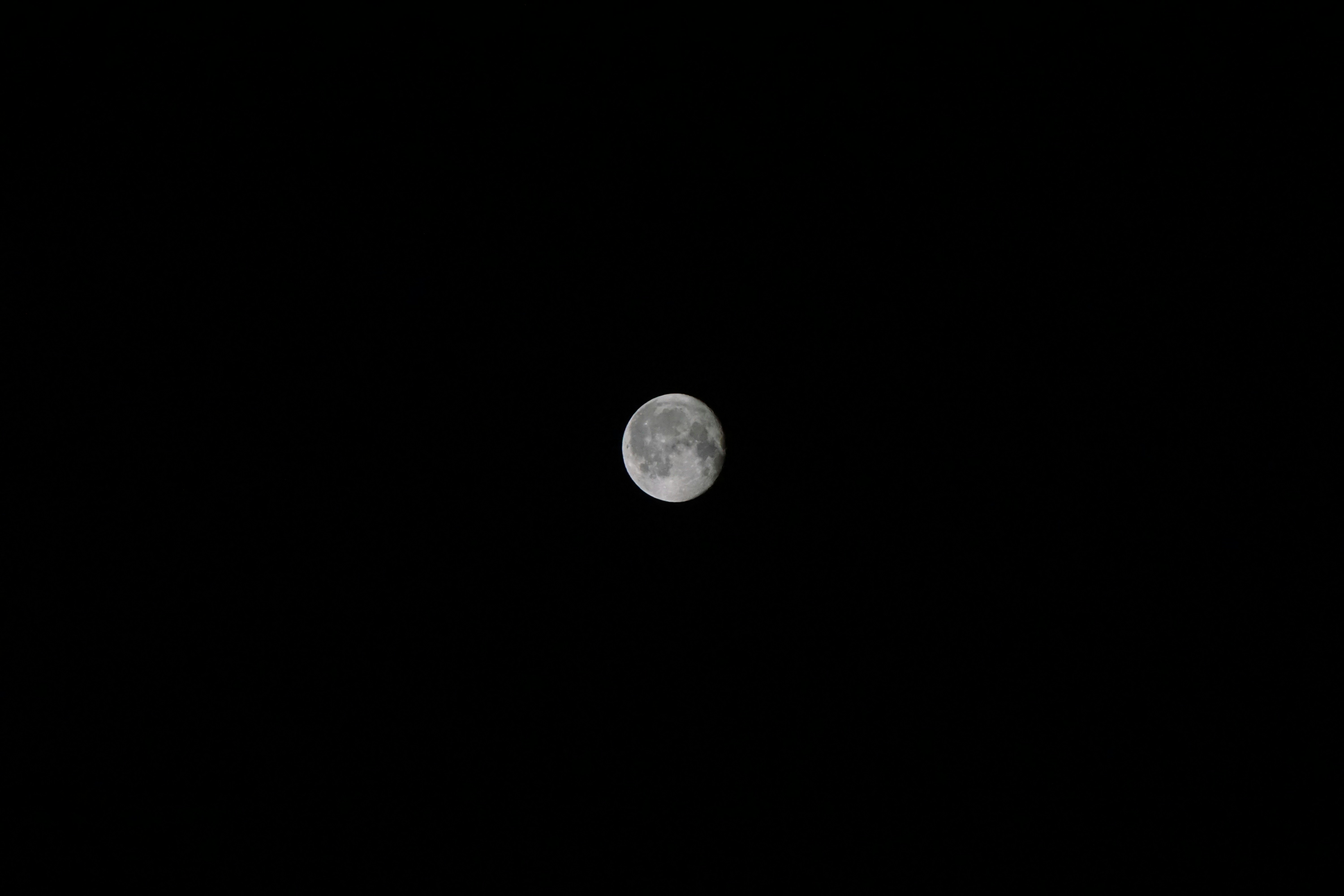 White moon photo – Free Grey Image on Unsplash