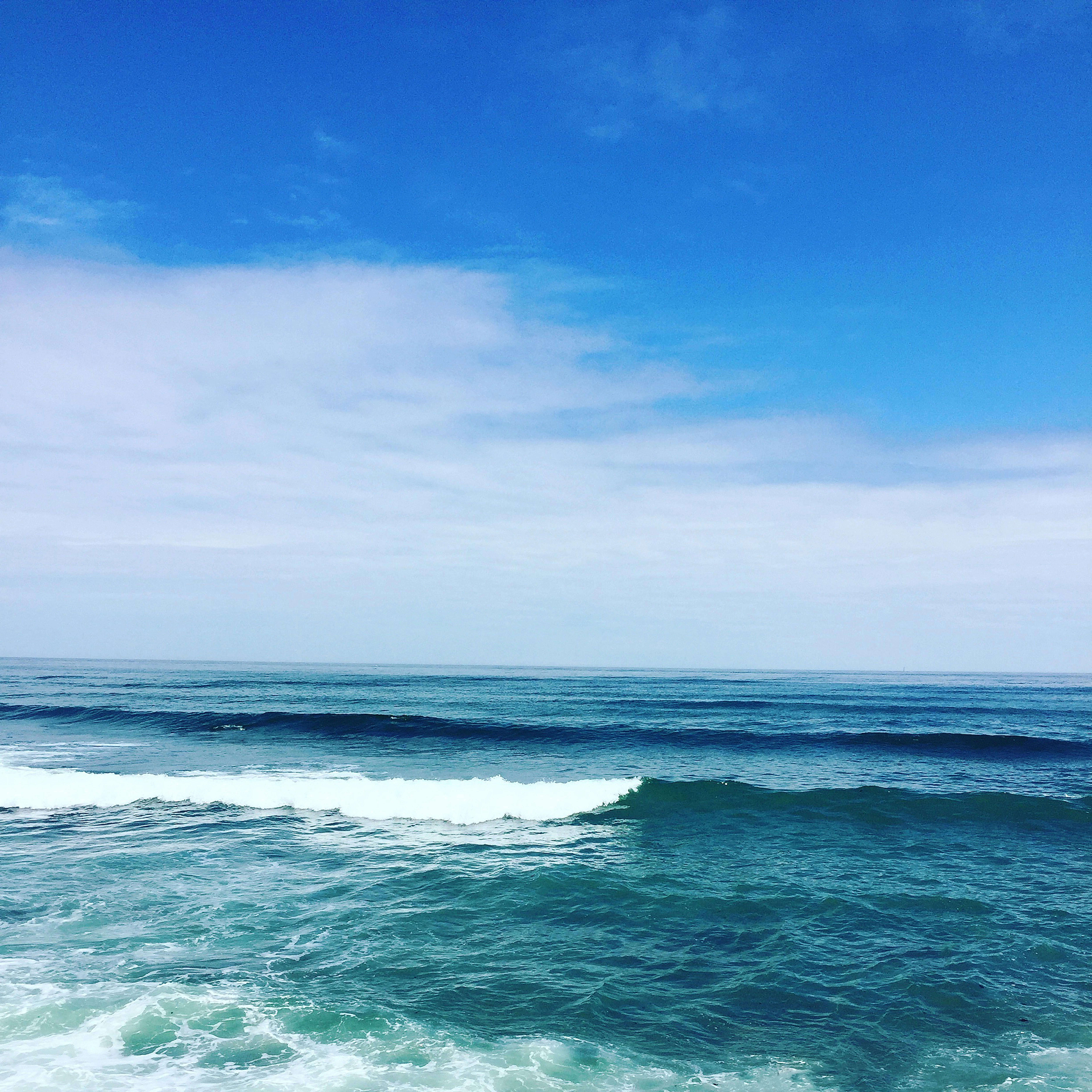 Ocena Pictures | Download Free Images on Unsplash